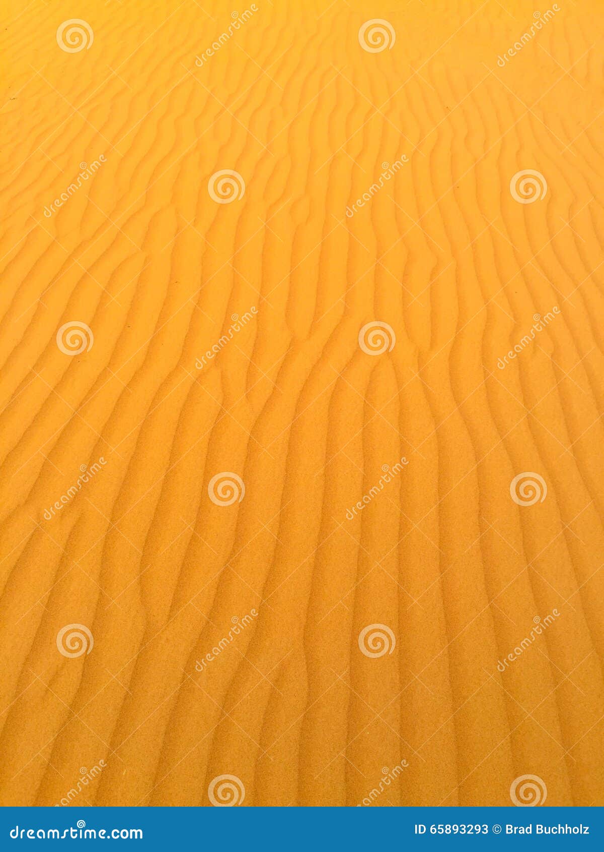 Sand dunes in Dubai stock image. Image of dubai, dunes - 65893293