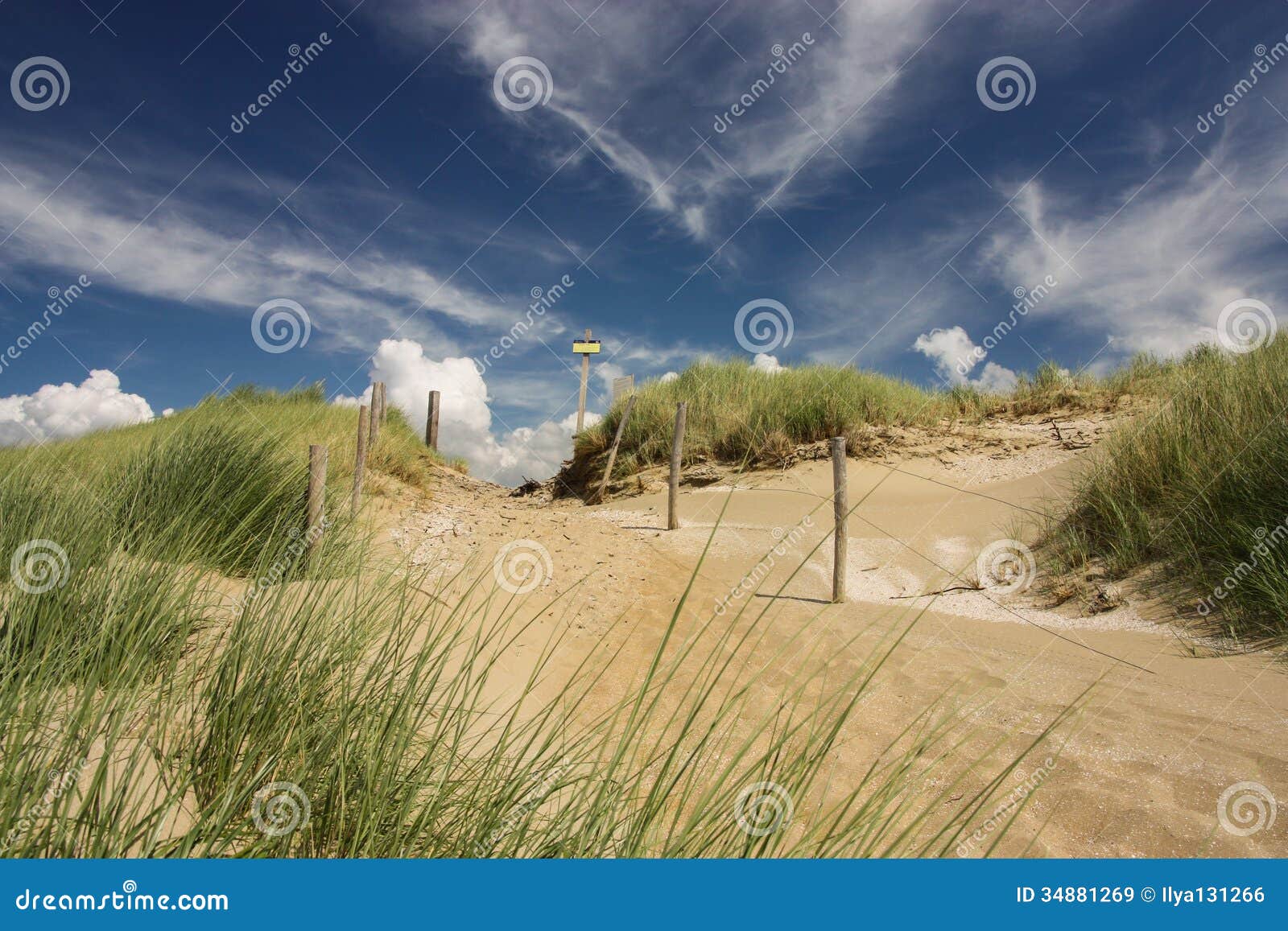 Sand Dunes at the Dutch Coast Stock Image - Image of path, beach: 34881269