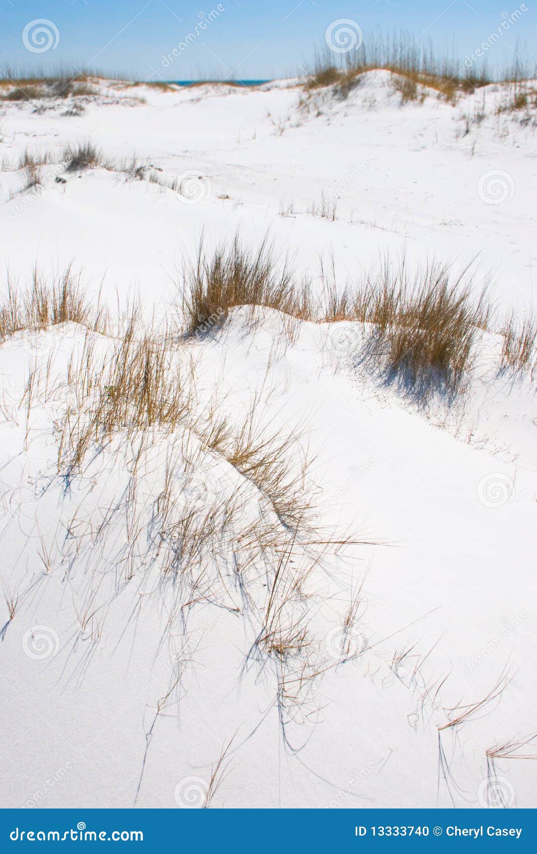 Sand Dunes on Emerald Coast Stock Photo - Image of florida, gulf: 13333740