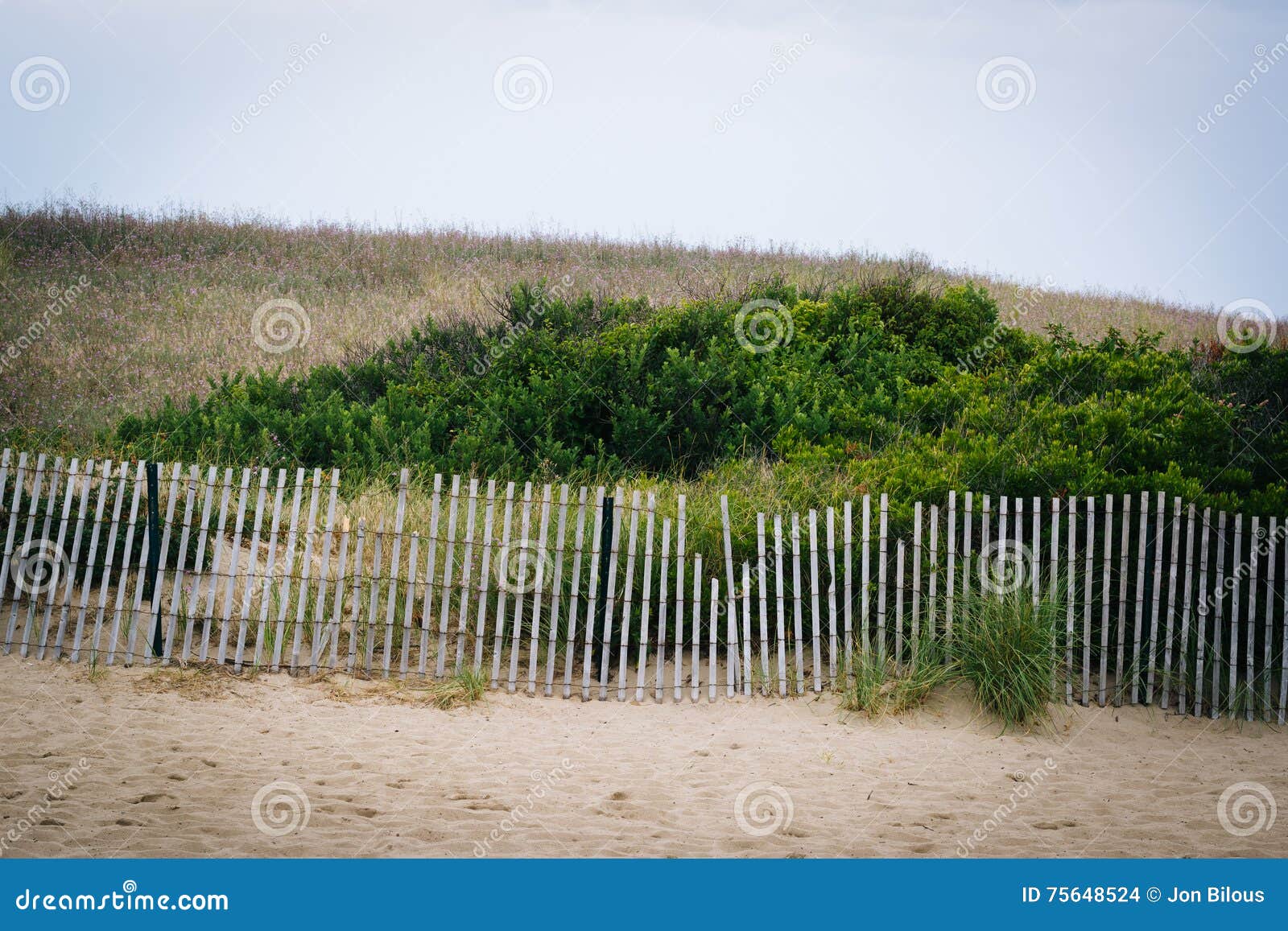 Sand Dunes and Fence in Sandwich, Cape Cod, Massachusetts. Stock Photo - Image of travel ...