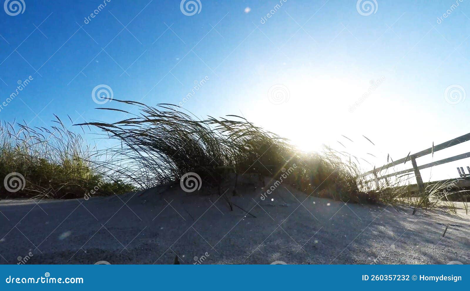 Sand dunes stock photo. Image of beautiful, summer, dunes - 260357232