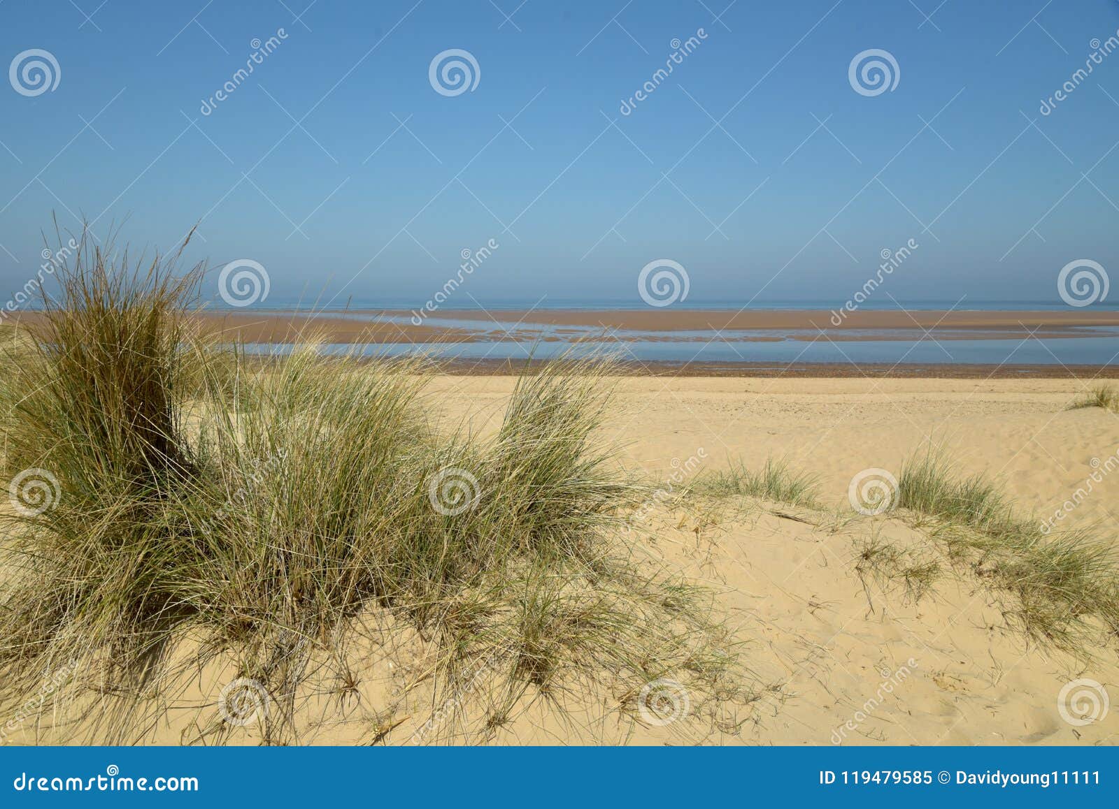 Sand Dunes on Holkham Beach in Norfolk Stock Image - Image of sand ...