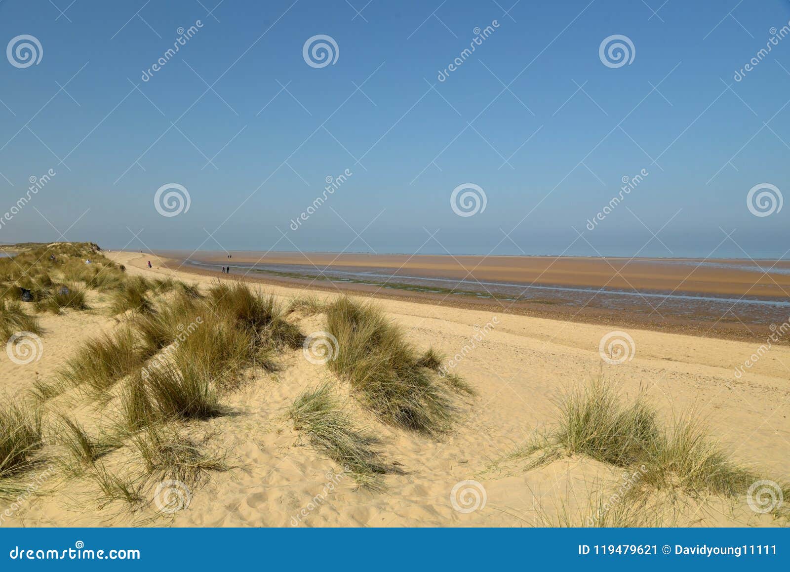 Sand Dunes on Holkham Beach in Norfolk Stock Image - Image of summer ...