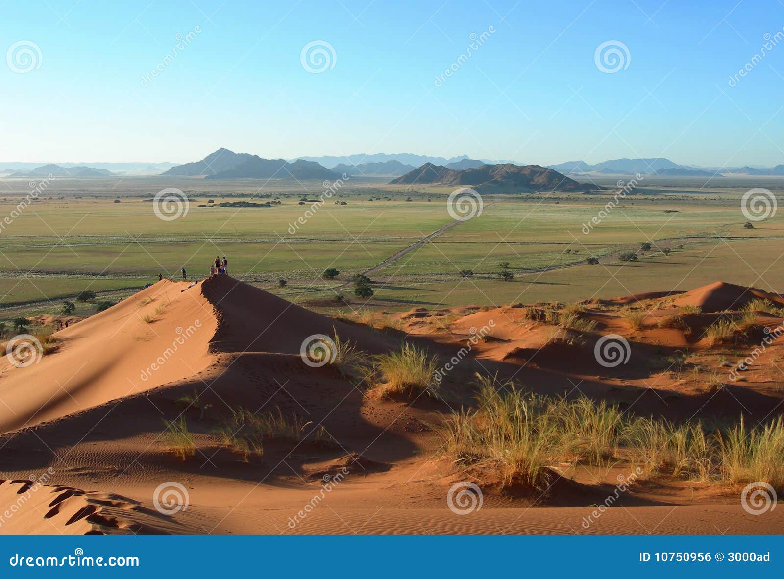 Sand Dunes in the Kalahari Desert Stock Photo - Image of mountain, land ...