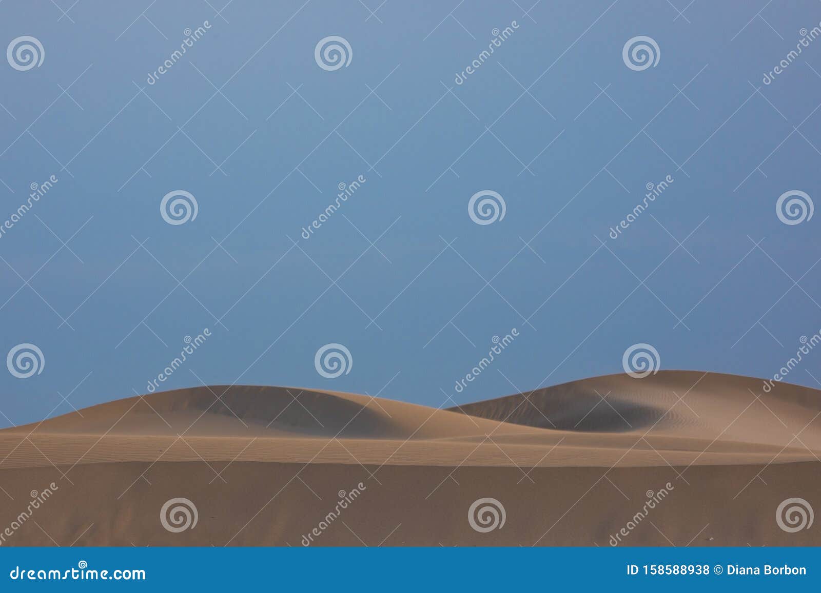 Sand Dunes in the Delta of the River Ebro Stock Photo - Image of dunes ...