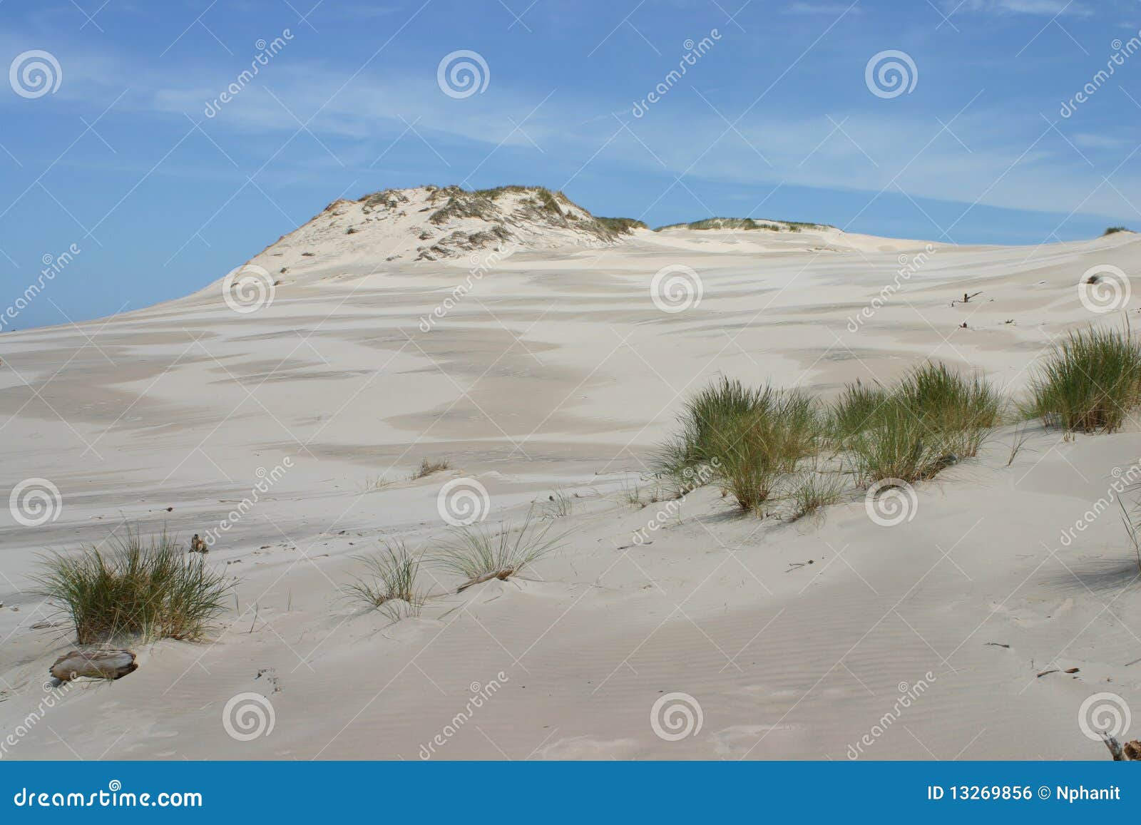 Sand Dunes of Leba stock photo. Image of hill, desert - 13269856
