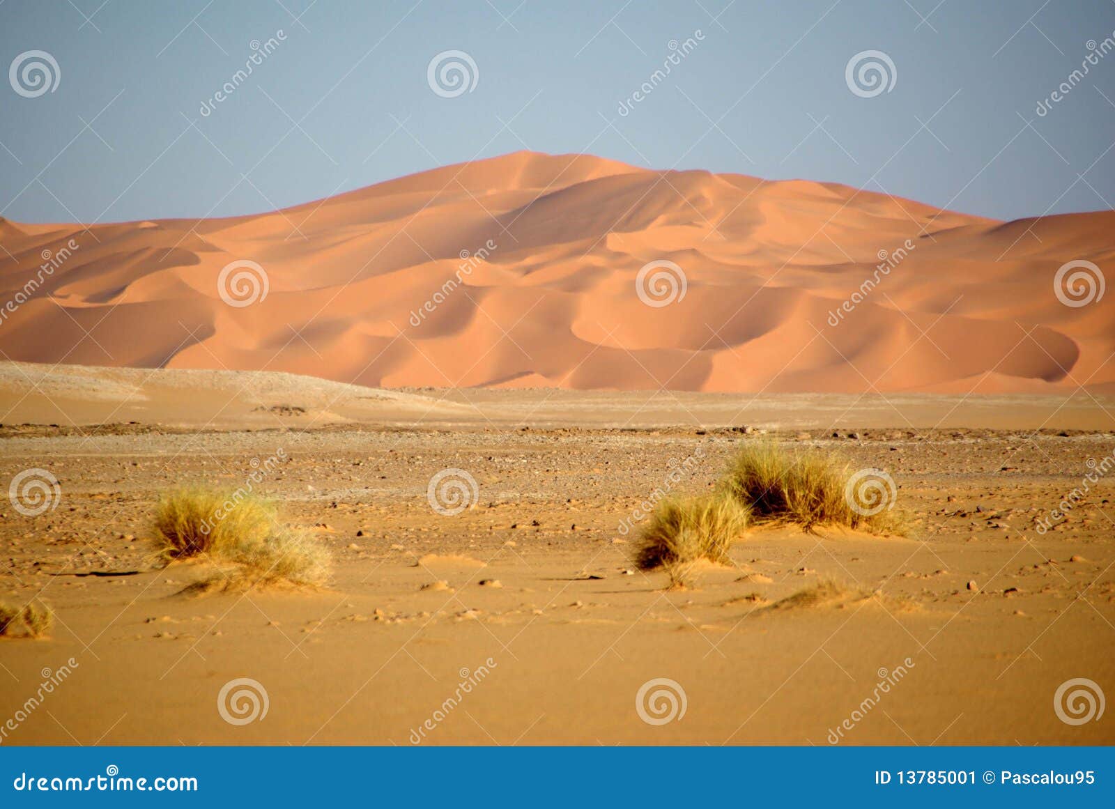Sand dunes, Libya stock image. Image of tuft, arid, clump - 13785001