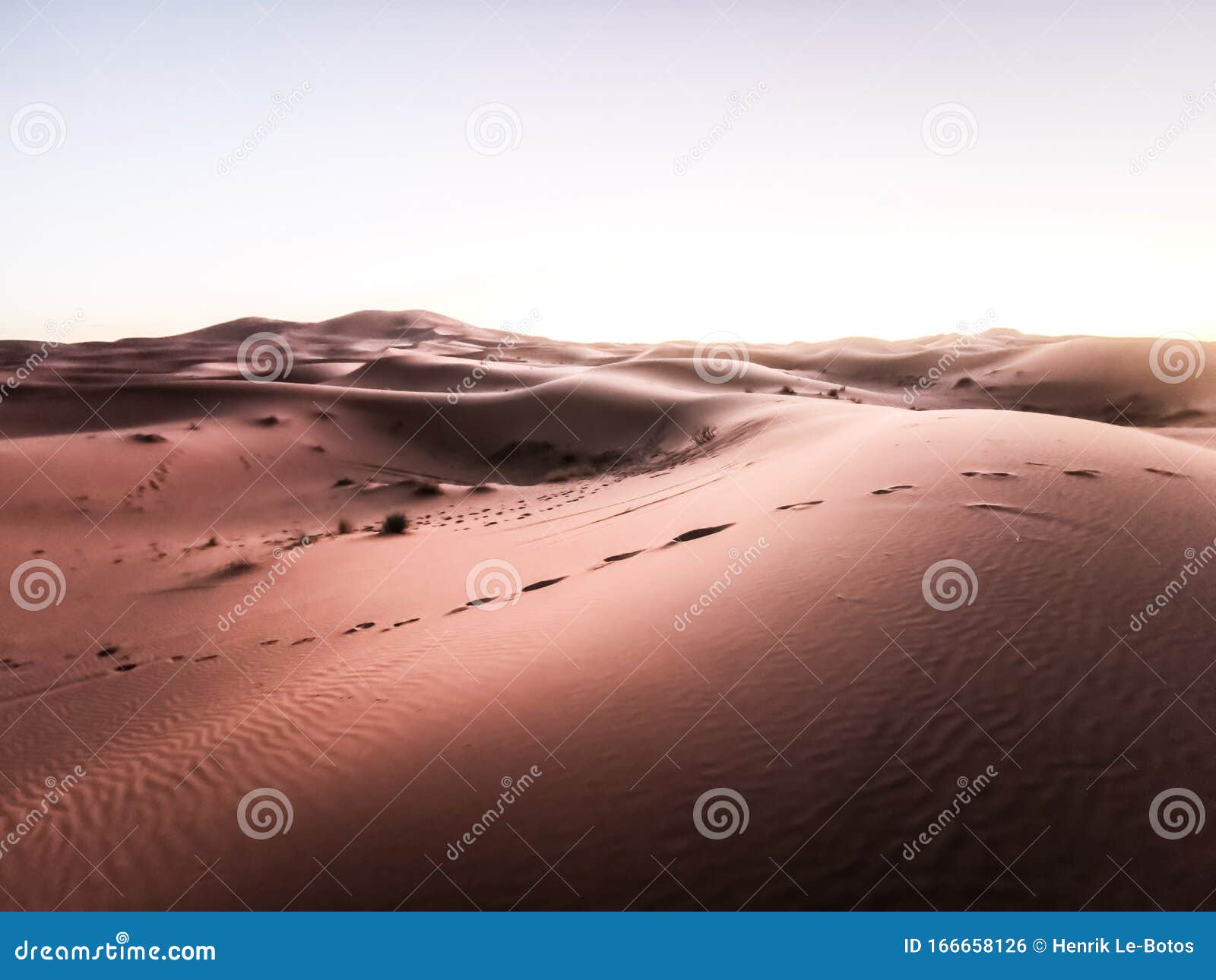 Sand Dunes in the Morrocan Desert Stock Photo - Image of beach, plain ...