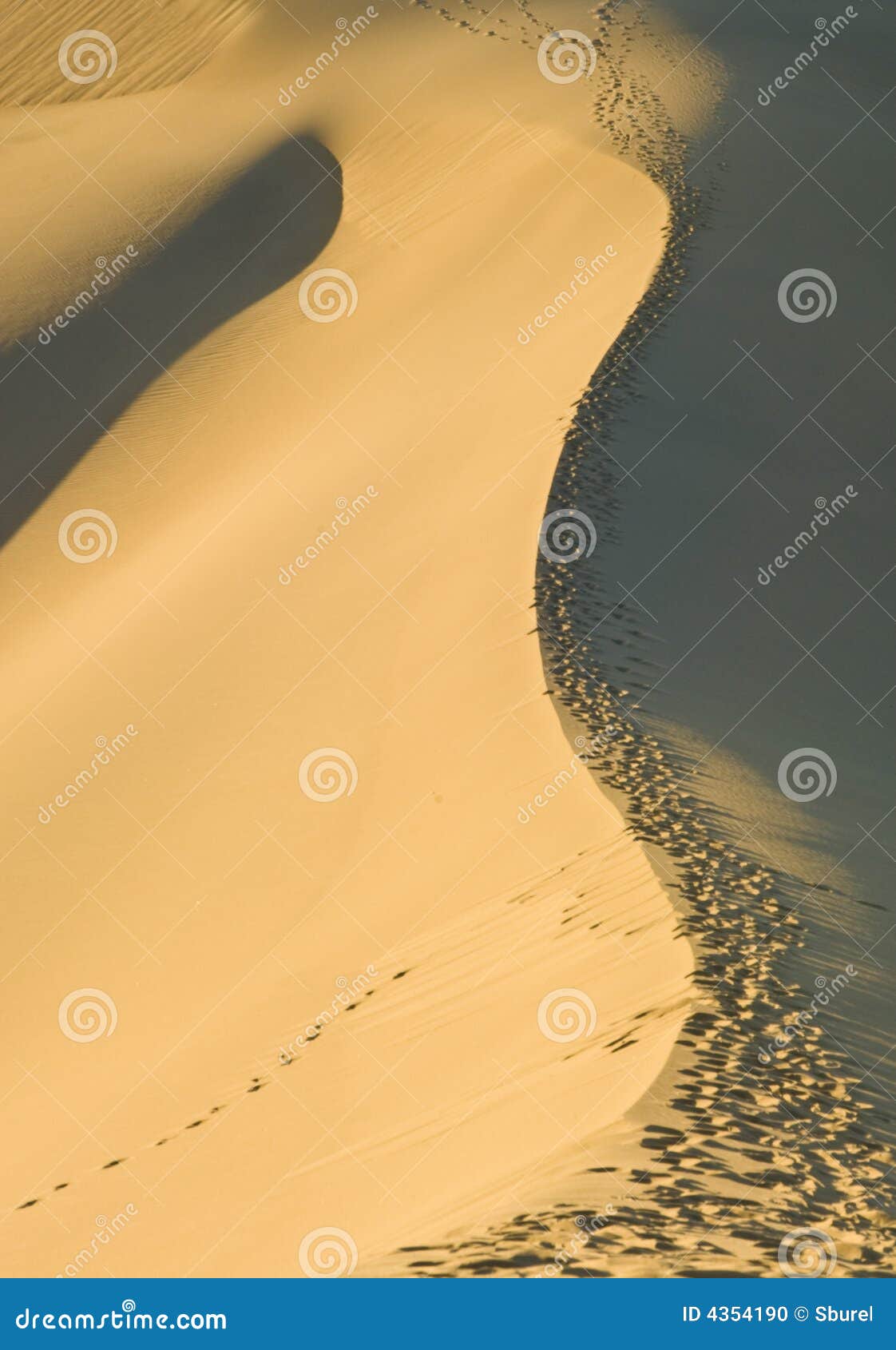 Sand Dunes Near Stovepipe Wells, Death Valley Stock Photo - Image of ...