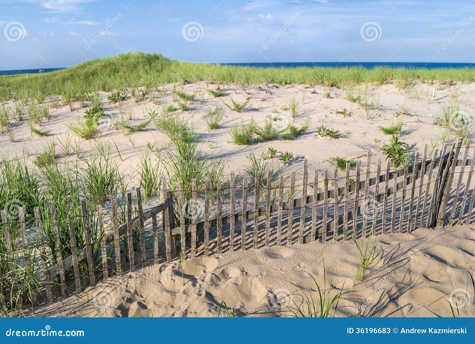 Sand Dunes Nobska Beach stock image. Image of summer - 36196683