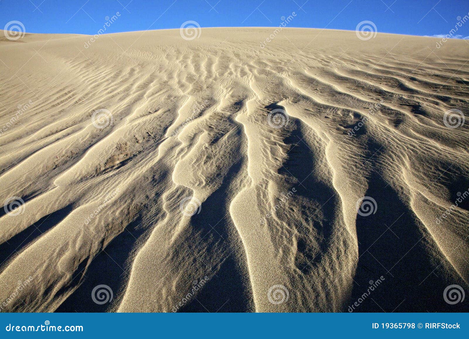 Sand Dunes Patterns stock photo. Image of large, natural - 19365798