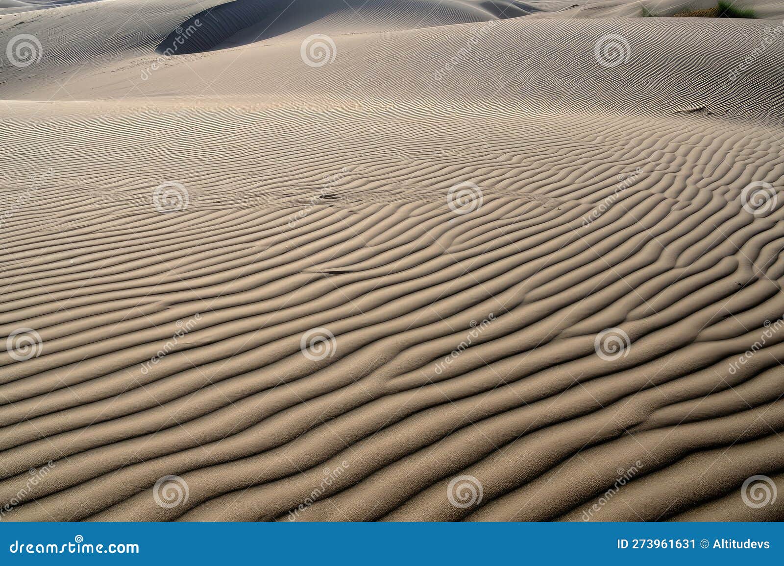 Sand Dunes with Repeating Patterns of Lines and Curves Stock Image ...
