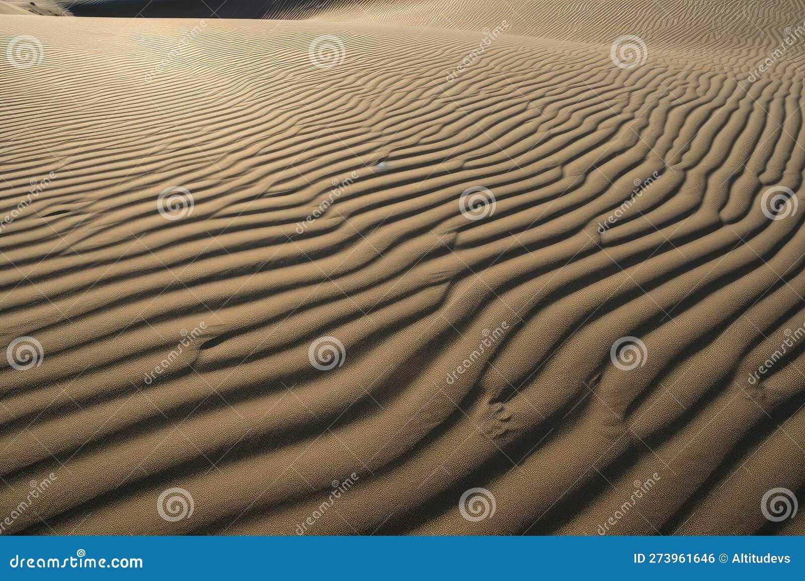 Sand Dunes with Repeating Patterns of Lines and Curves Stock ...