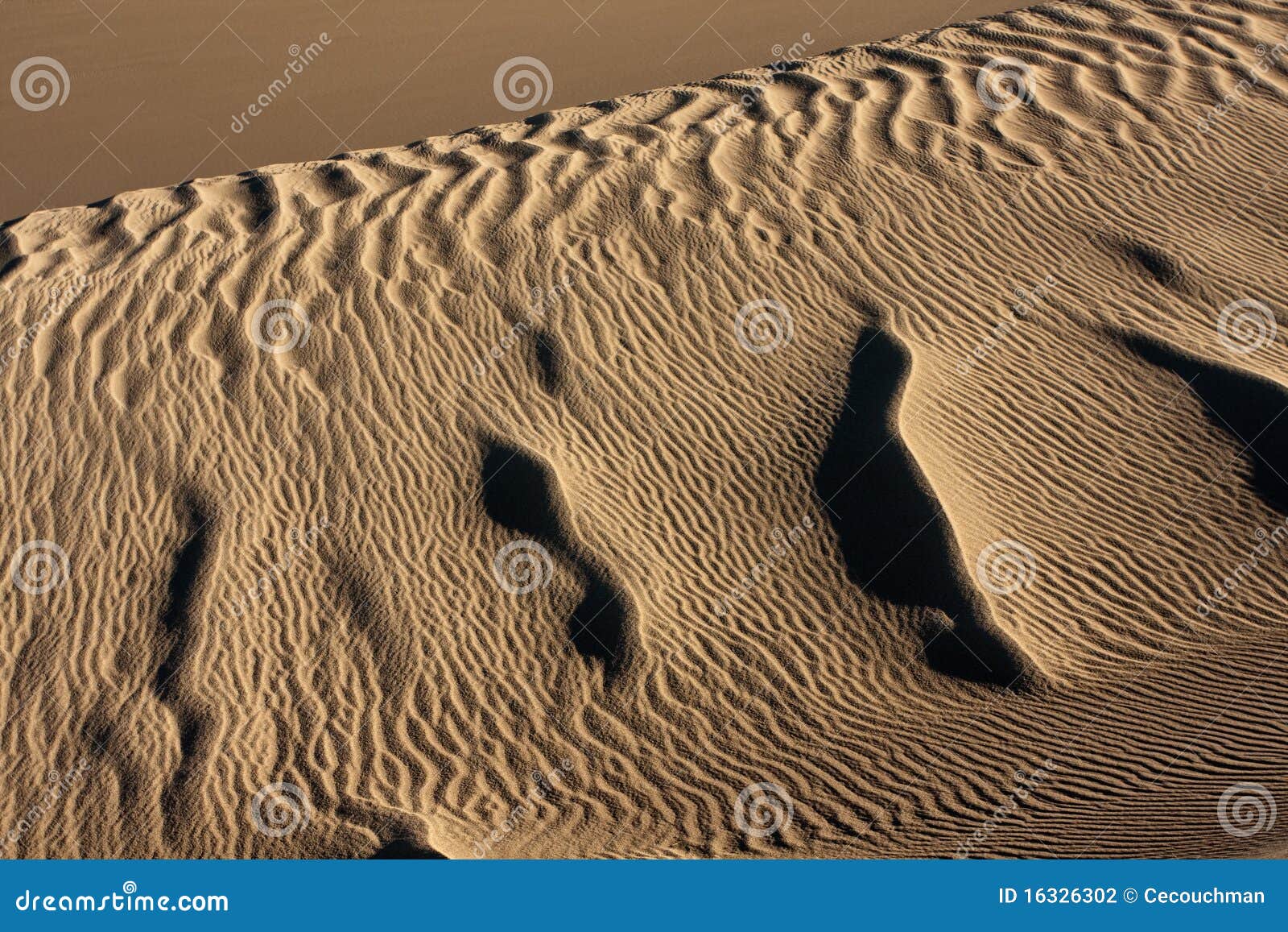 Sand Dunes and Ripples stock photo. Image of preservation - 16326302