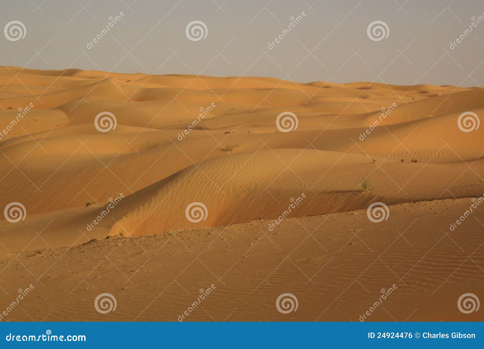 Sand dunes and ripples stock photo. Image of sand, dhabi - 24924476