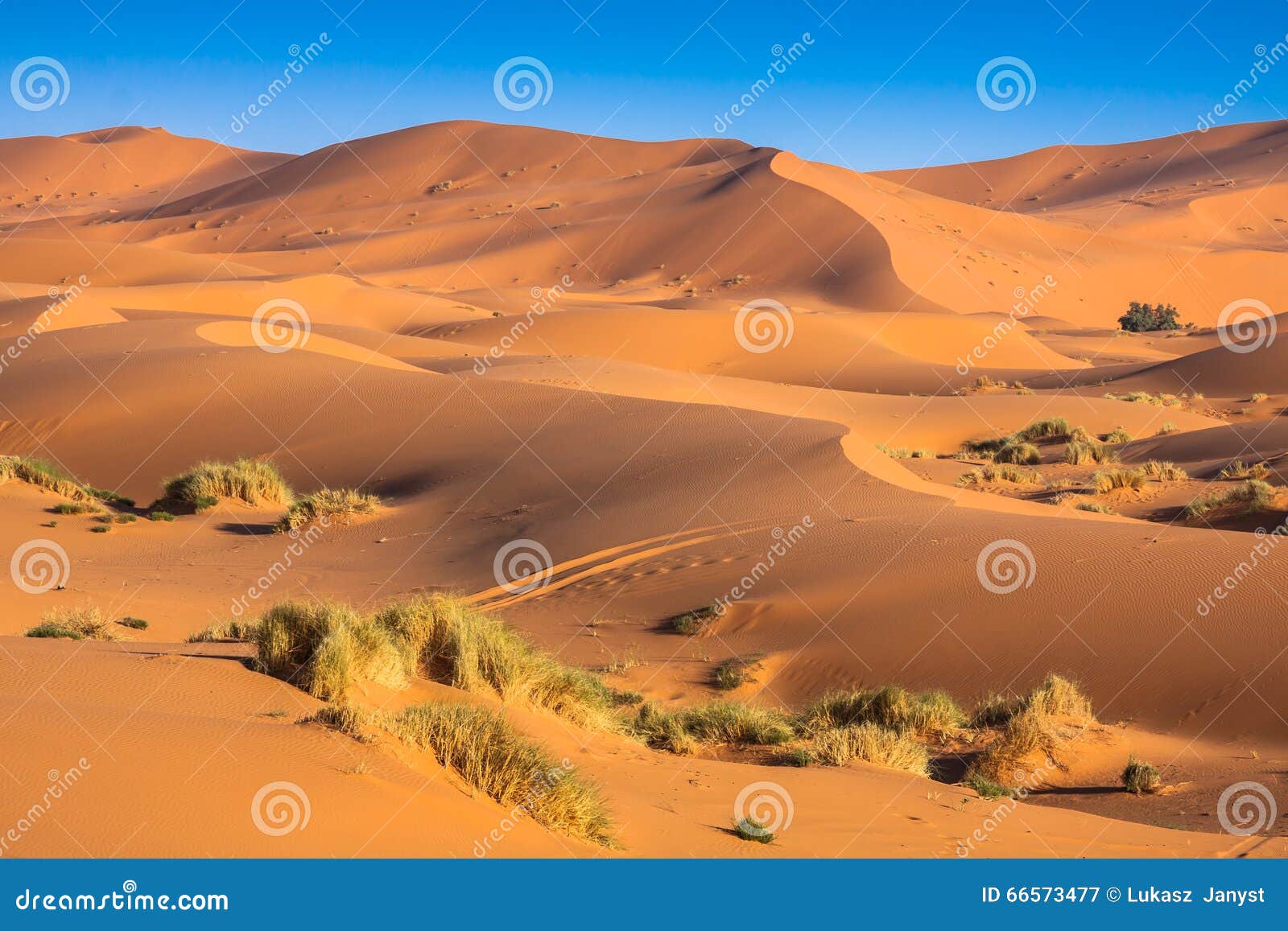 Sand Dunes in the Sahara Desert, Merzouga, Morocco Stock Image - Image ...
