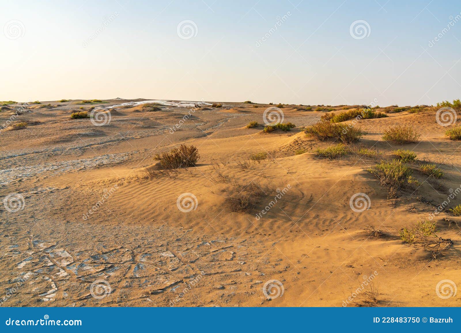 Sand Dunes and Sparse Vegetation in the Desert Stock Photo - Image of ...