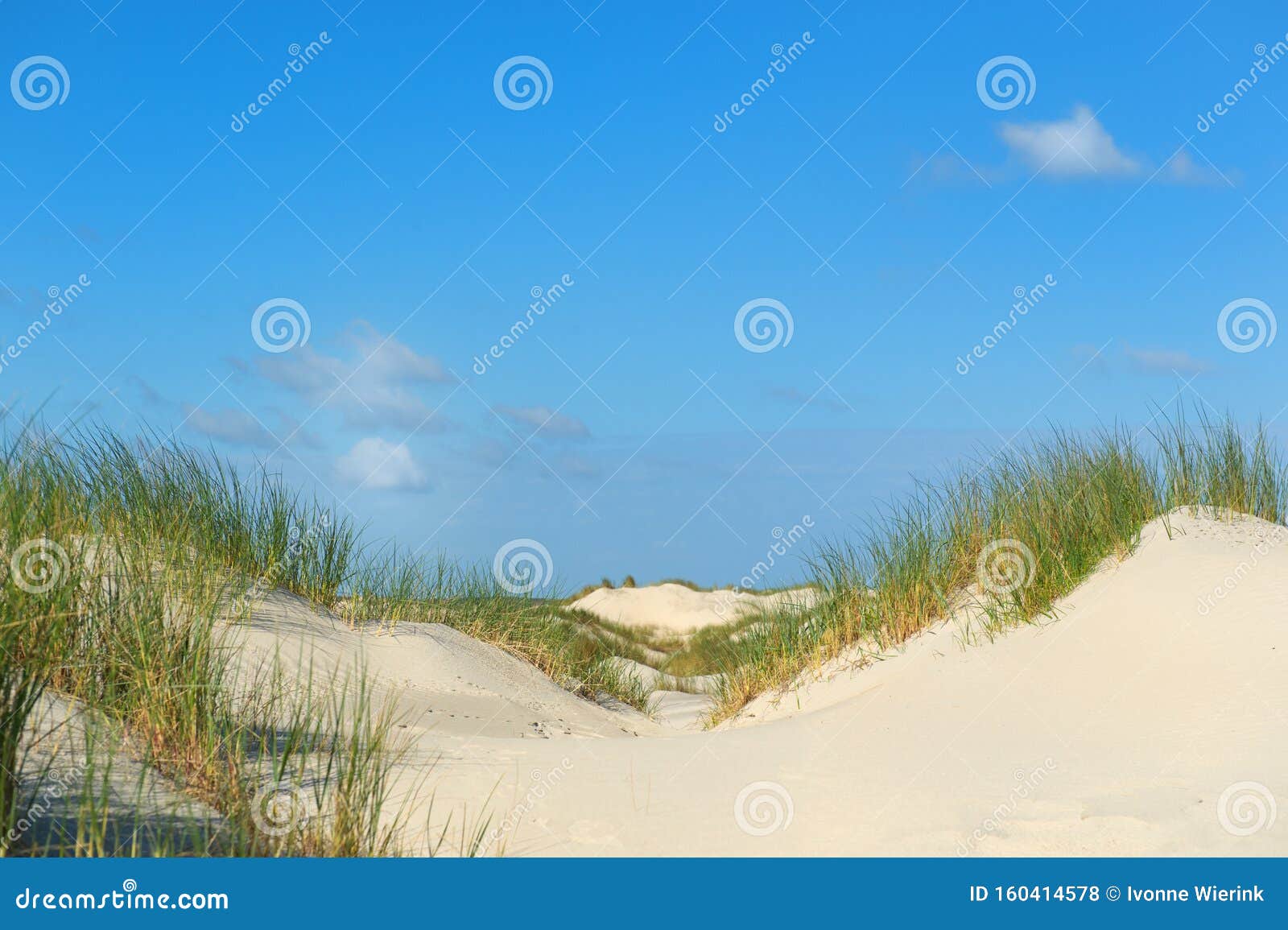 Sand dunes in summer stock photo. Image of hills, dunes - 160414578