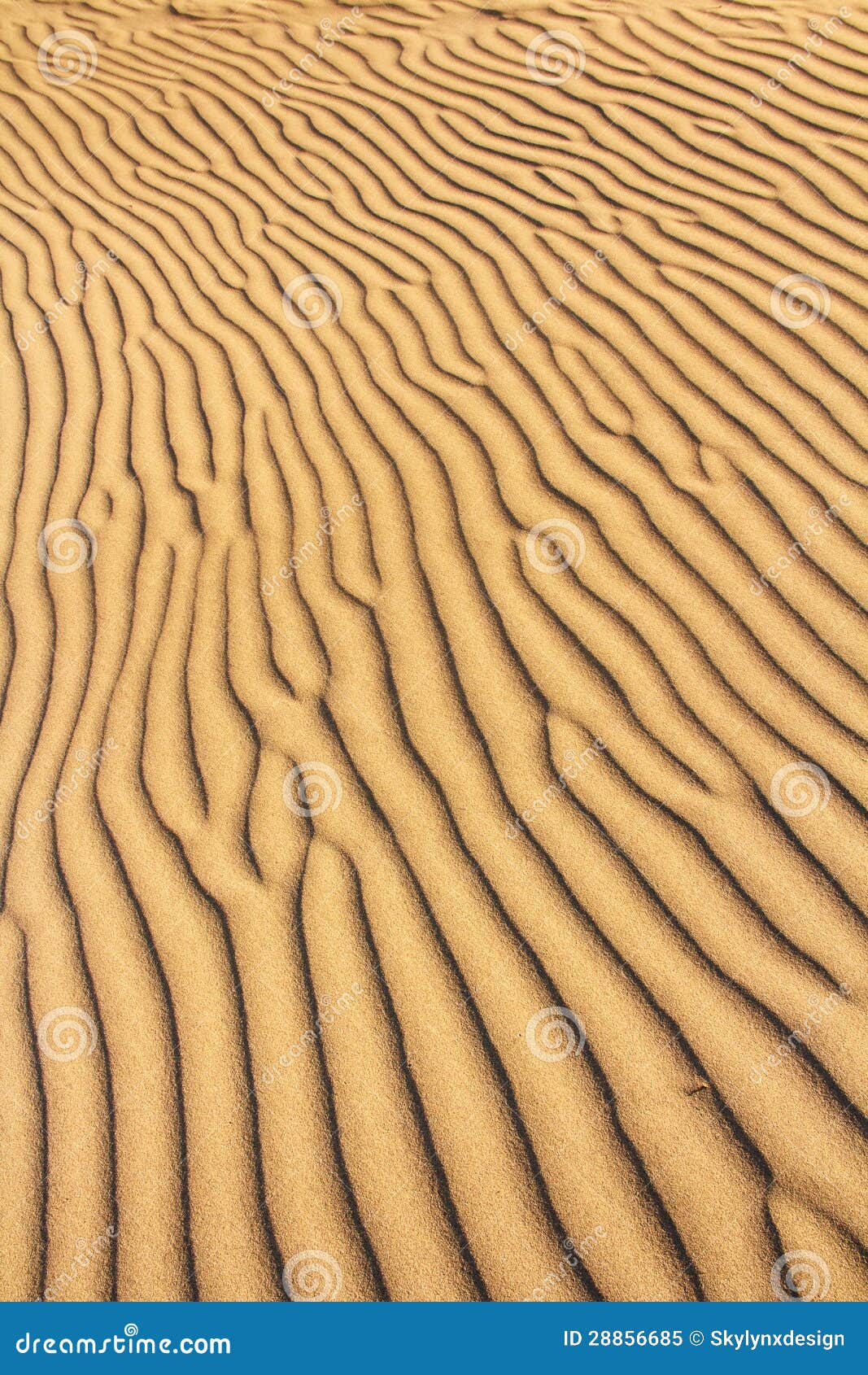 Sand dunes texture stock image. Image of deserted, natural - 28856685