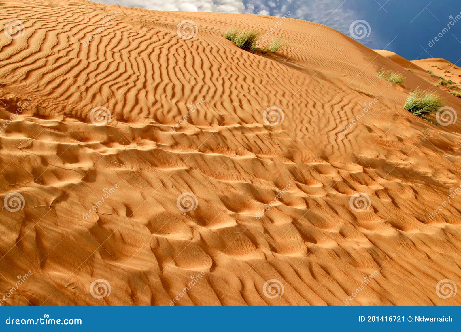Sand Dunes in the Thar Desert after Rain Stock Image - Image of extreme ...