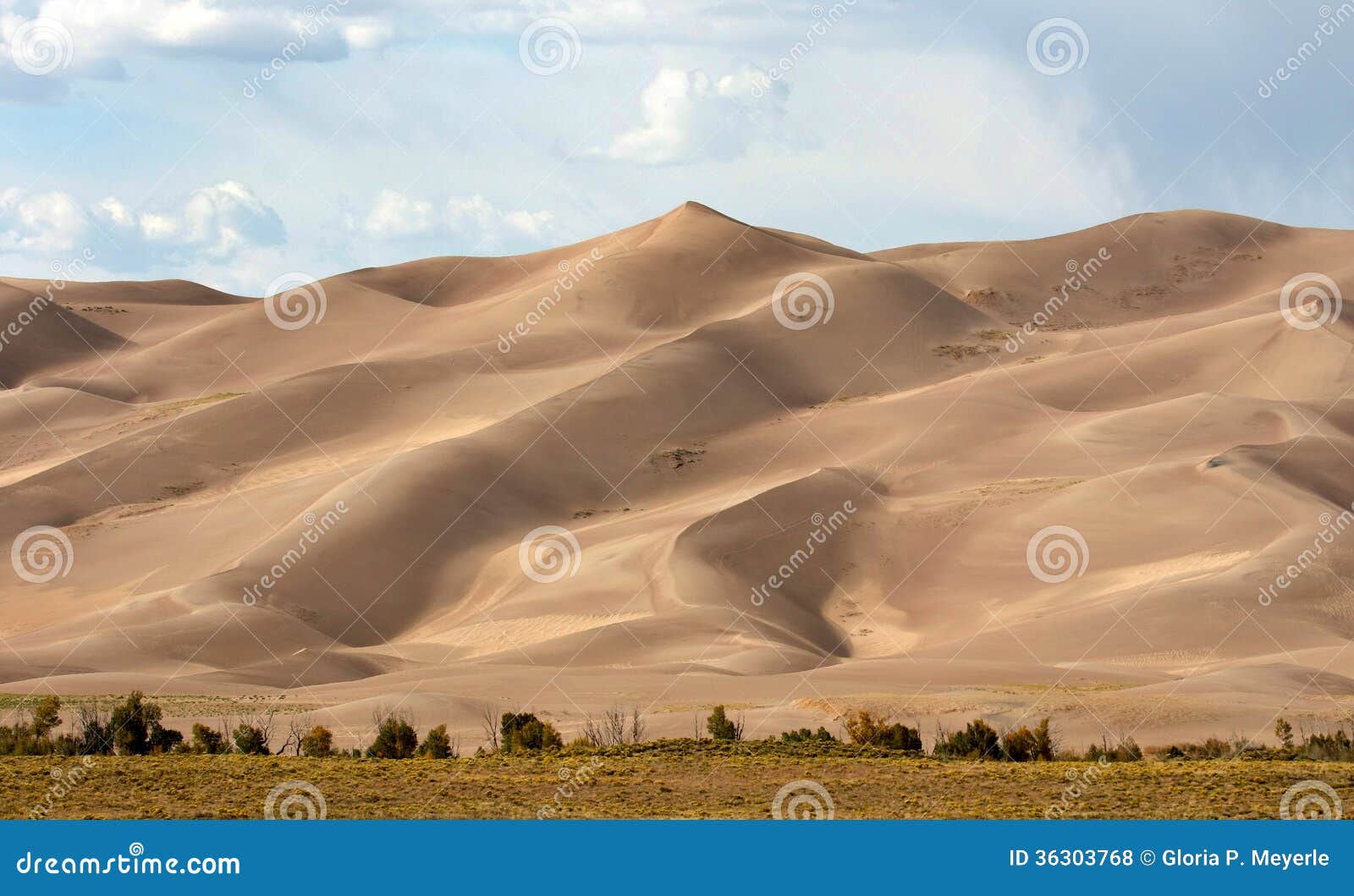 Dunes De Slack At Ambleteuse, In The Hauts-de-France Region Of France ...