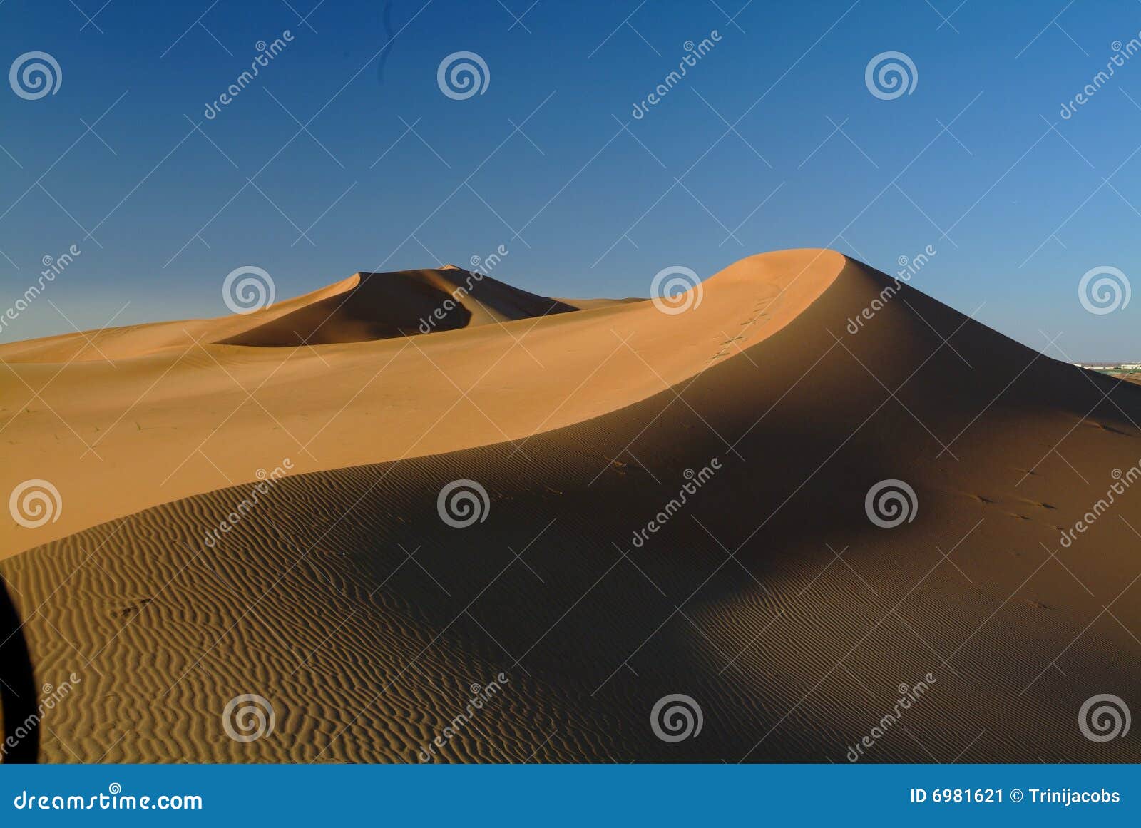 Sand Dunes of UAE stock image. Image of dunes, vast, texture - 6981621