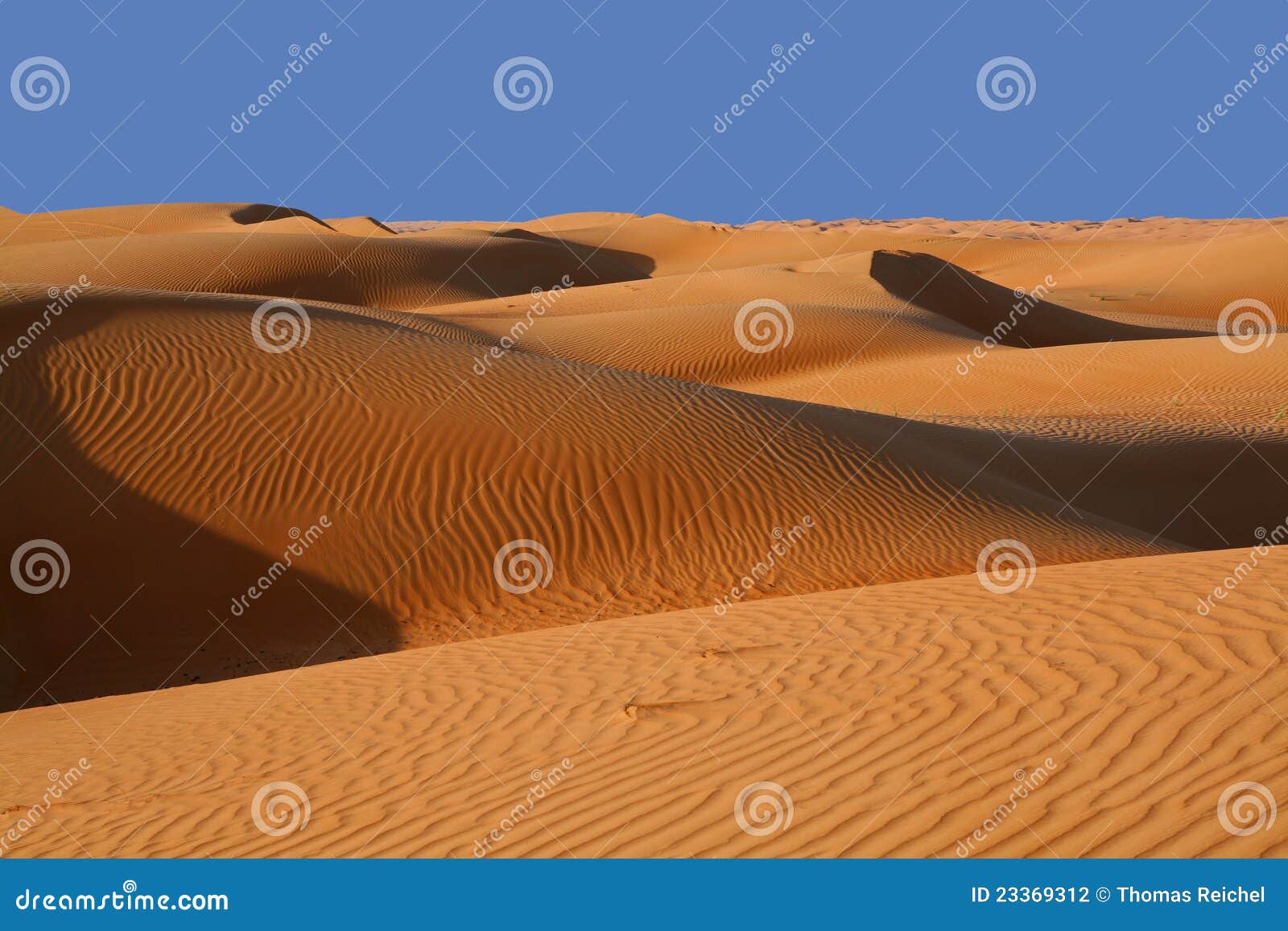 Sand Dunes in the Wahiba Sands Desert in Oman Stock Photo - Image of ...