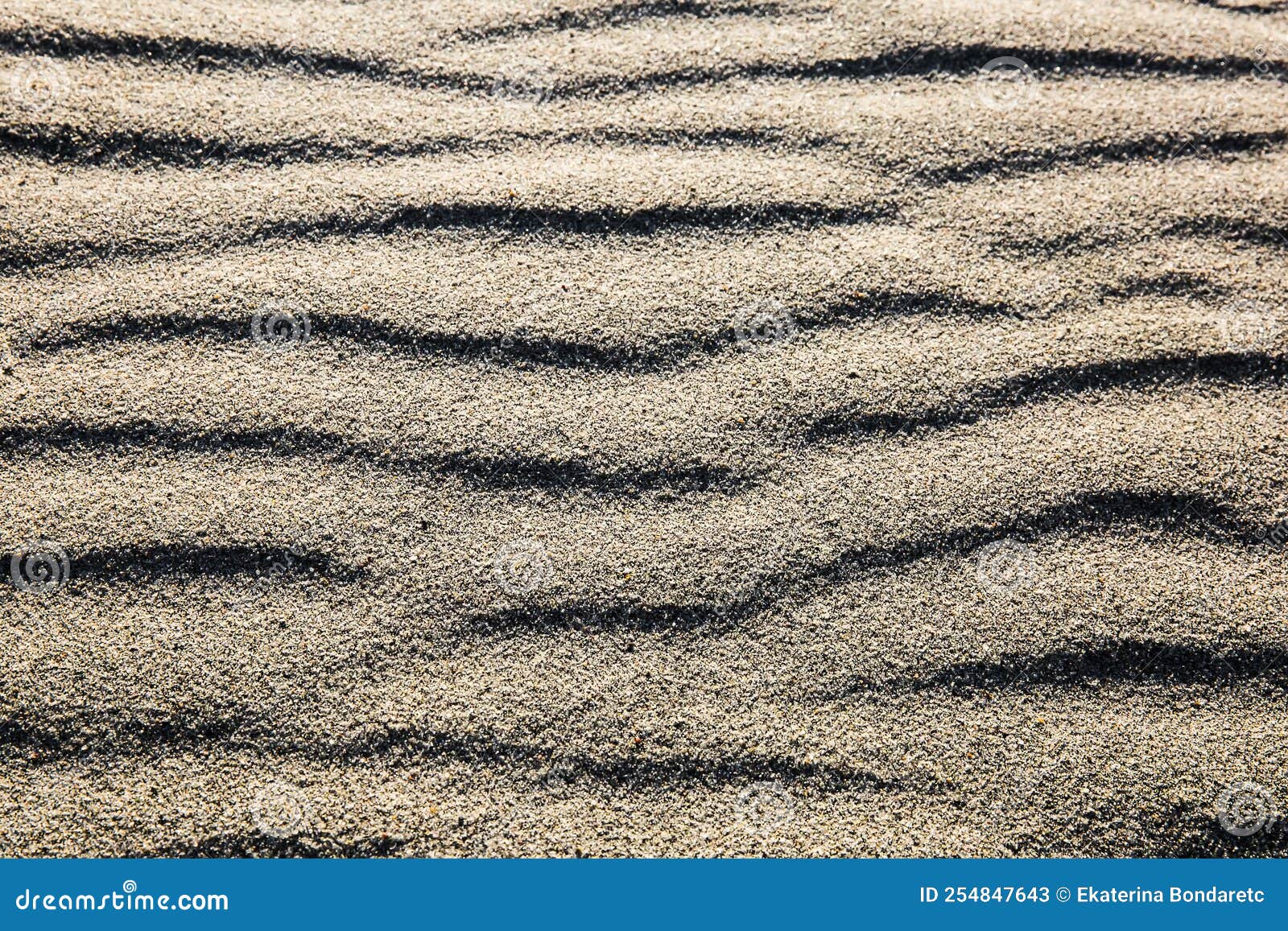 Sand Dunes. Wind Pattern on the Sand, Desert, Dunes. the Texture of the ...