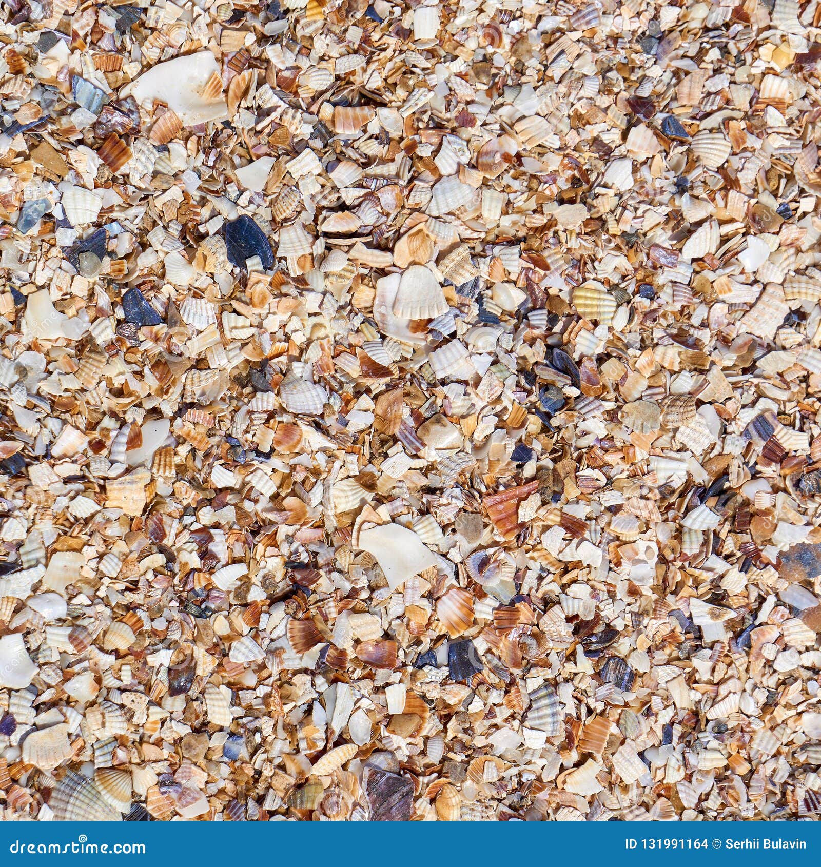 Sand, Fine Stones and Many Different Particles of Crushed Shells Stock ...