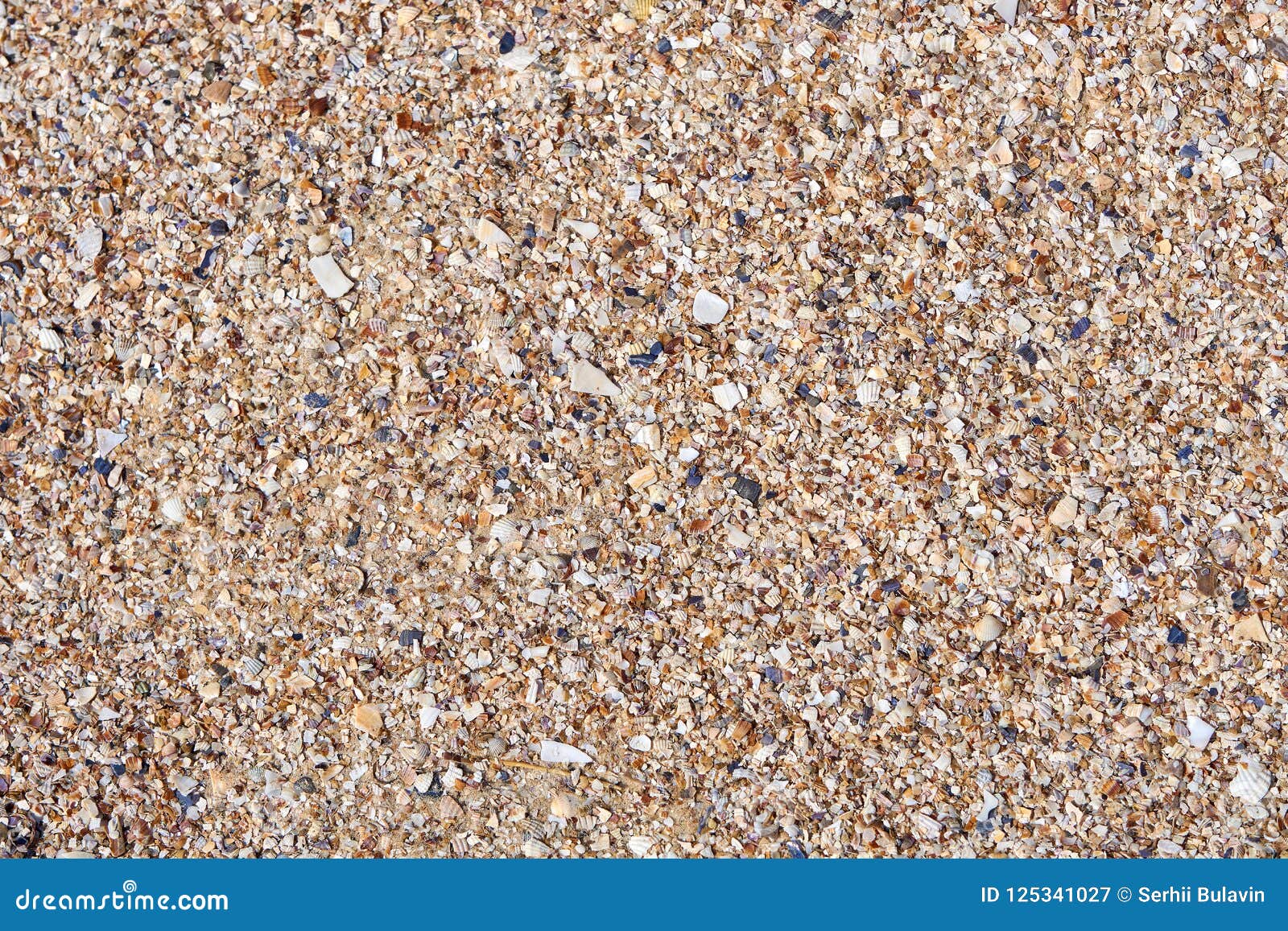 Sand, Fine Stones and Many Different Particles of Crushed Shells Stock ...