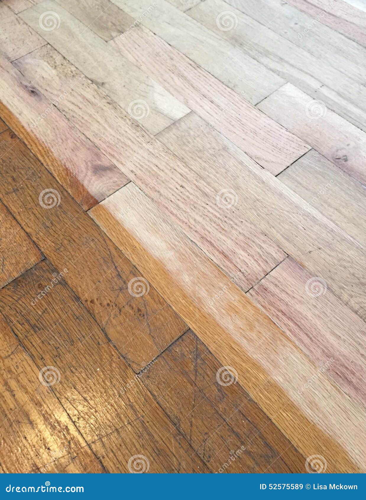 Sand and Finish Hard Wood Floors Stock Image - Image of sand, floors ...