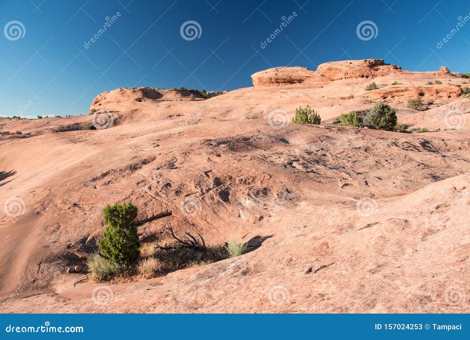 Sand Flat Recreation Area, stock image. Image of blue - 157024253