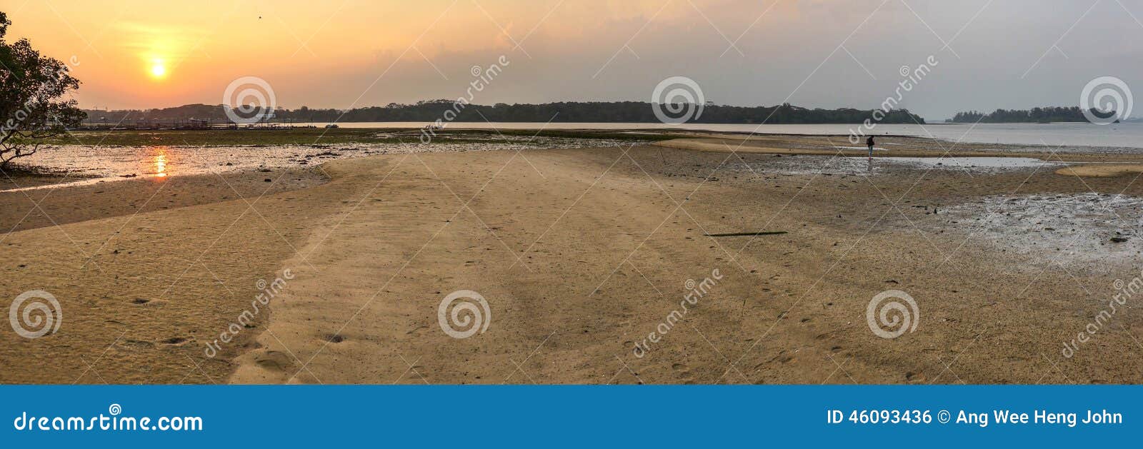 Sand Flats at Sunset stock photo. Image of mangrove, beach - 46093436