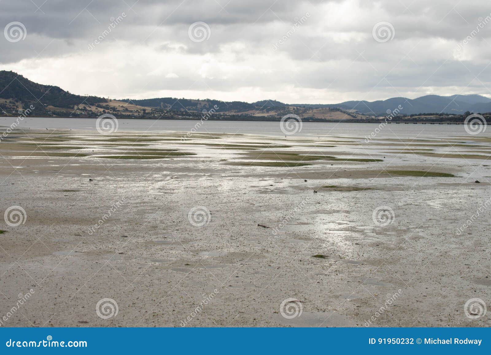 The Sand Flats stock photo. Image of sandflats, weedbeds - 91950232