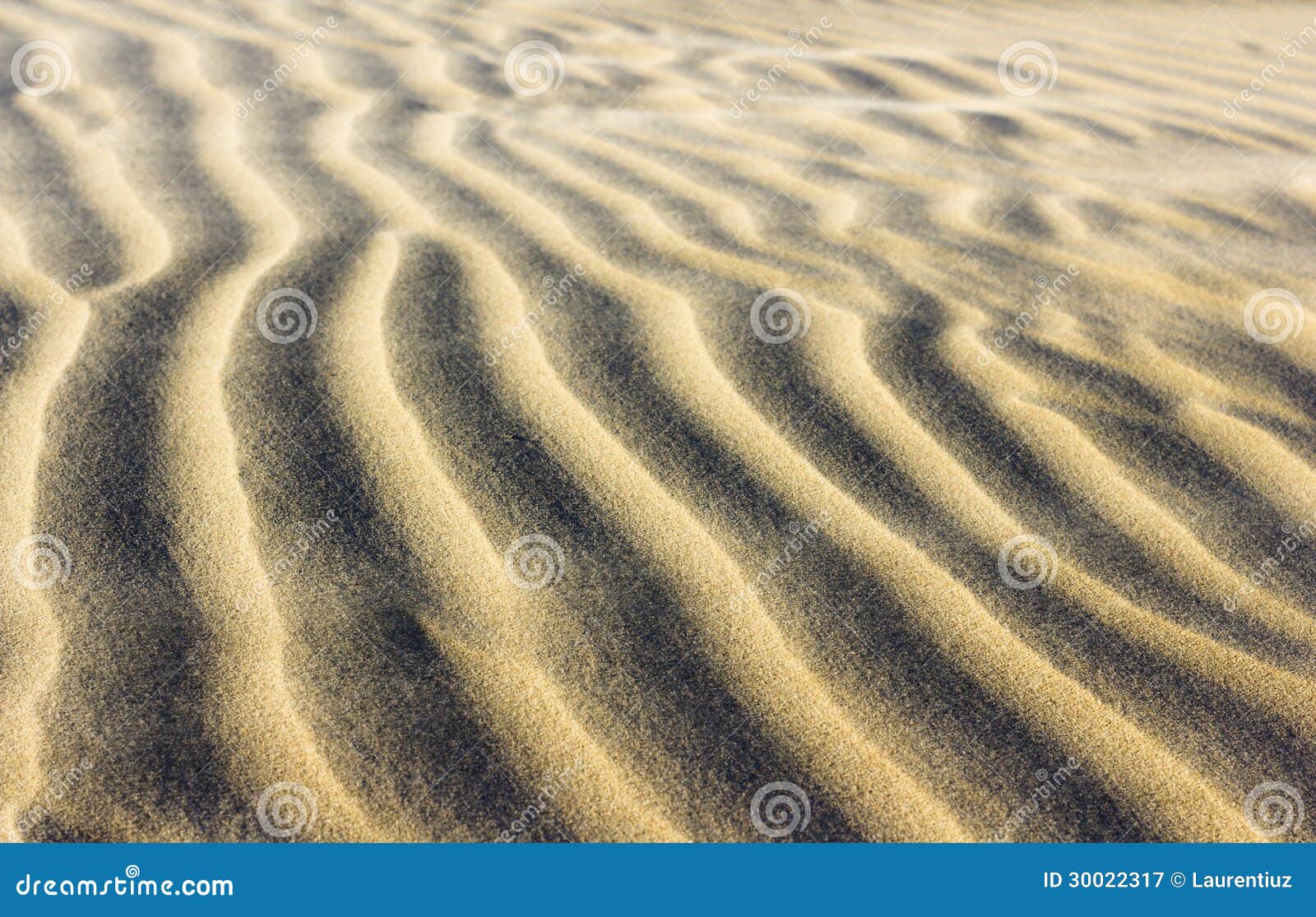 Sand Texture with Floating Sand Across Stock Image - Image of desert ...