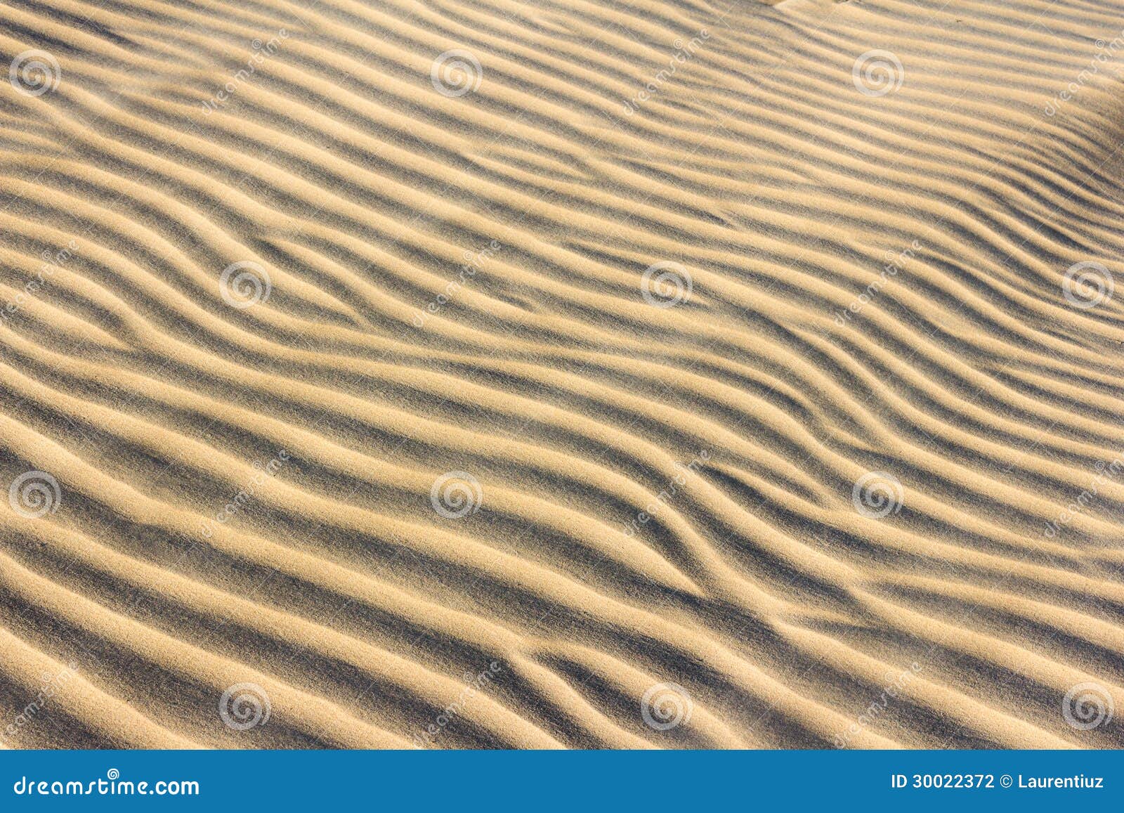 Sand Texture with Floating Sand Across Stock Photo - Image of glide ...