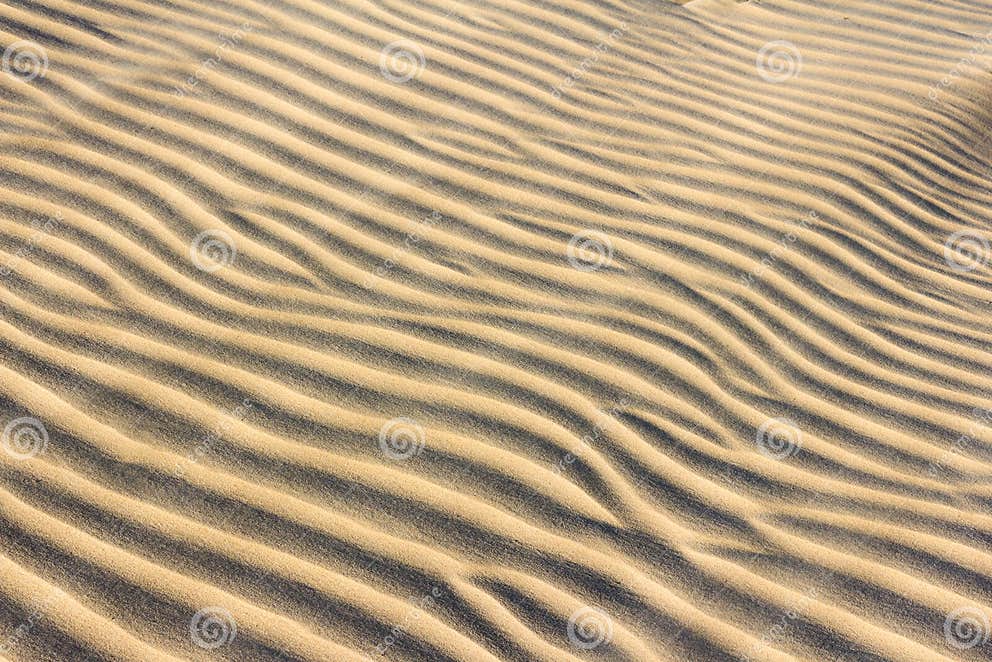 Sand Texture with Floating Sand Across Stock Photo - Image of glide ...