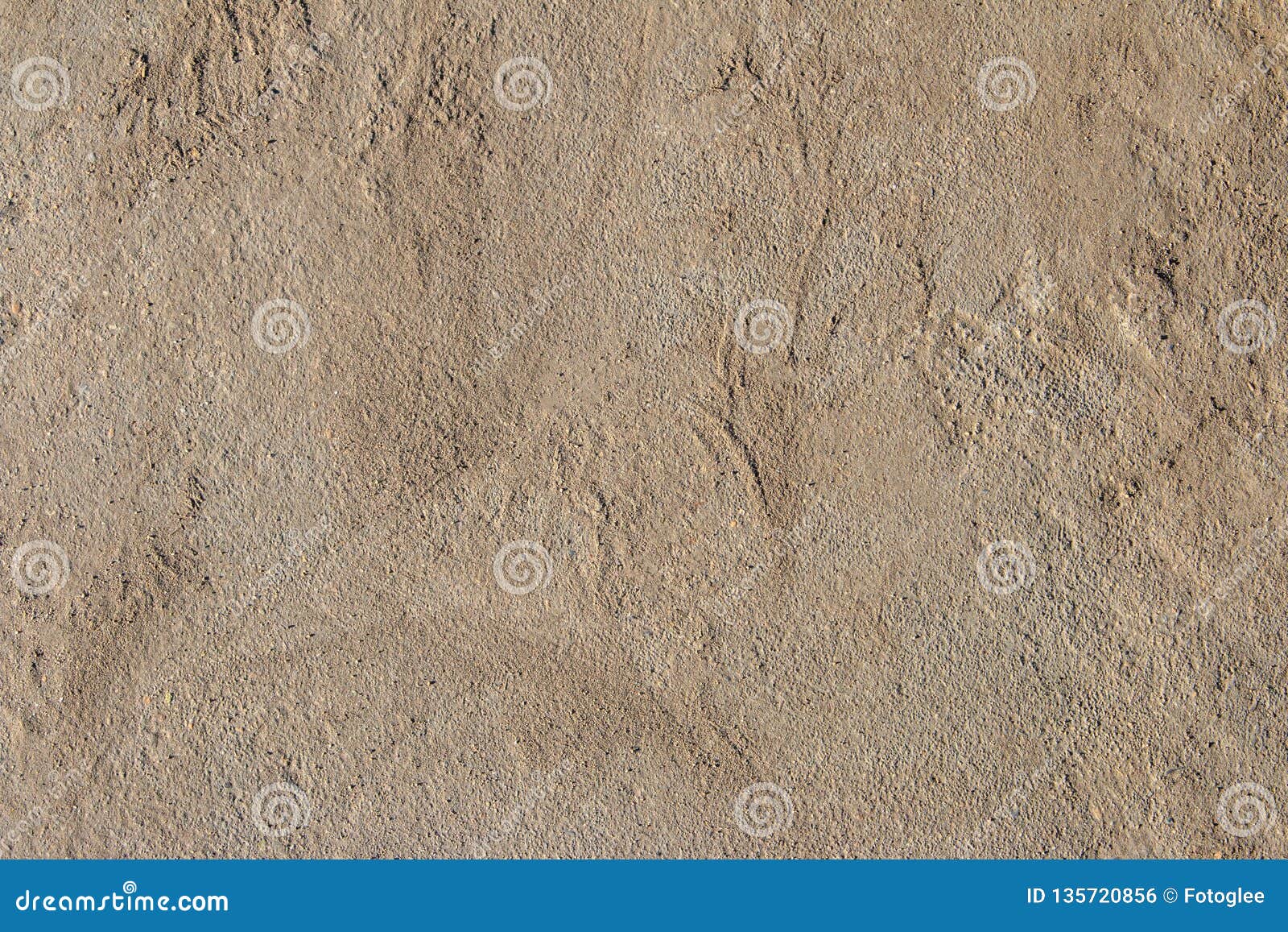 Sand Floor for Design Art Work Floor Texture Background Stock Photo ...