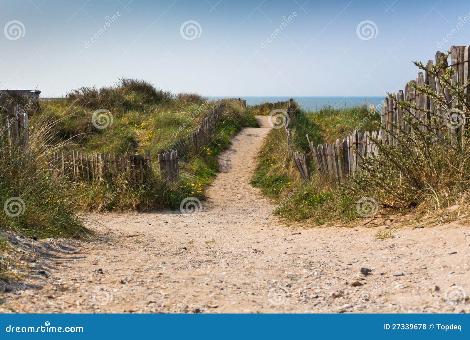 Sand Footpath through Dunes at the Beach Stock Photo - Image of green ...