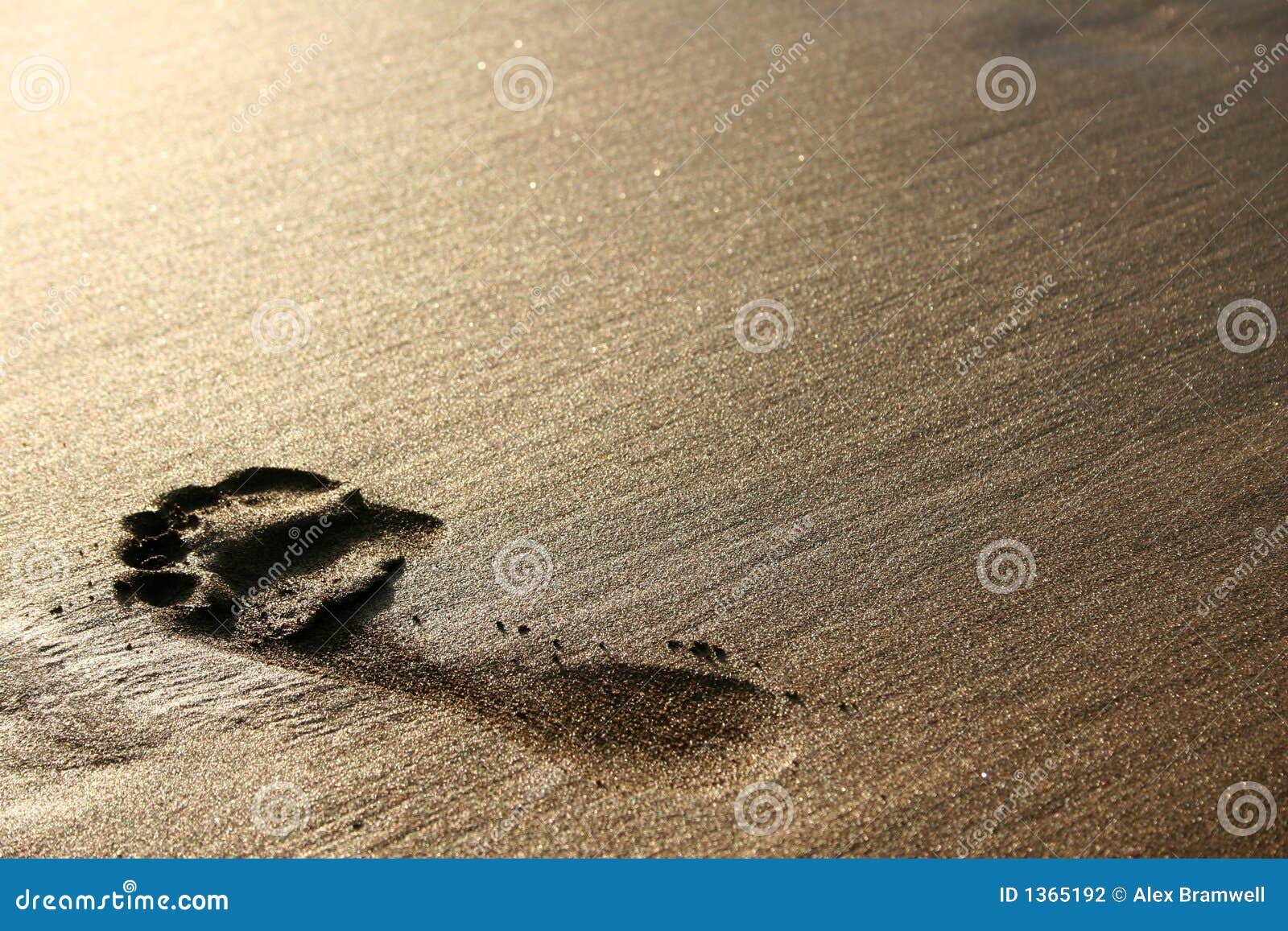 Sand Footprint stock photo. Image of outdoor, ethereal - 1365192