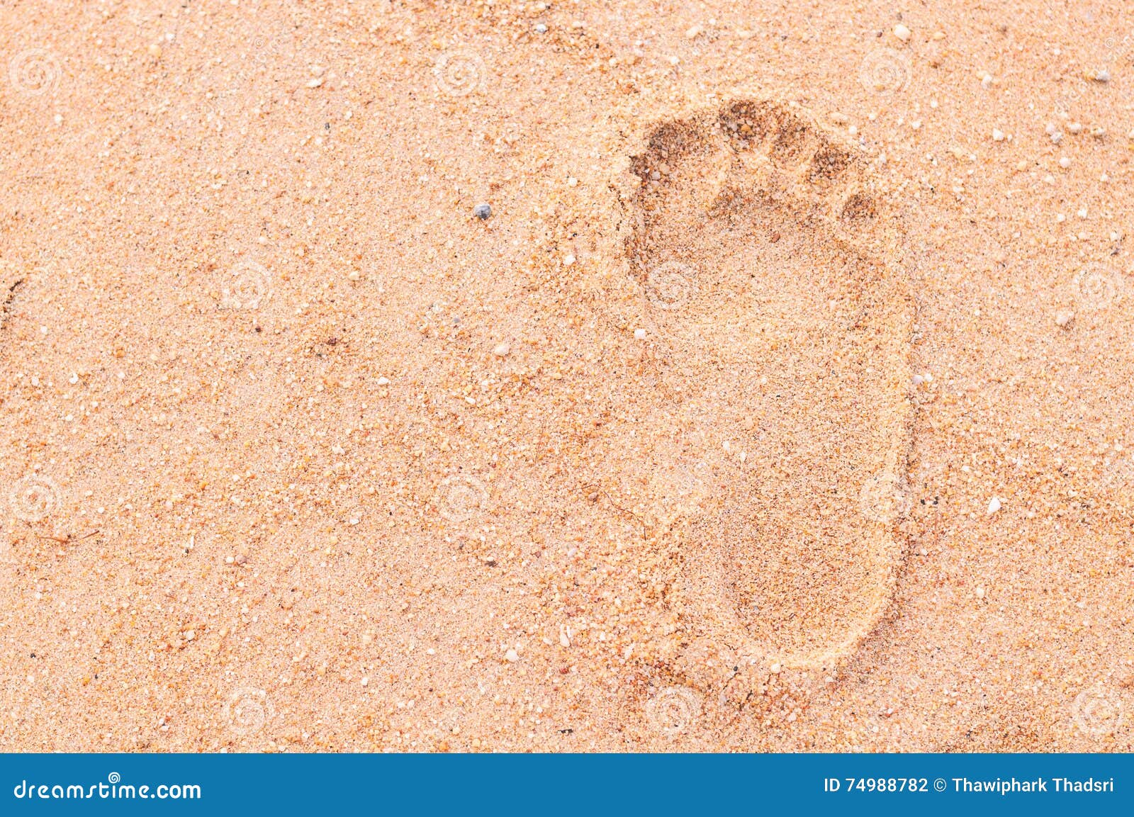 Sand Footprint stock photo. Image of print, travel, coast - 74988782