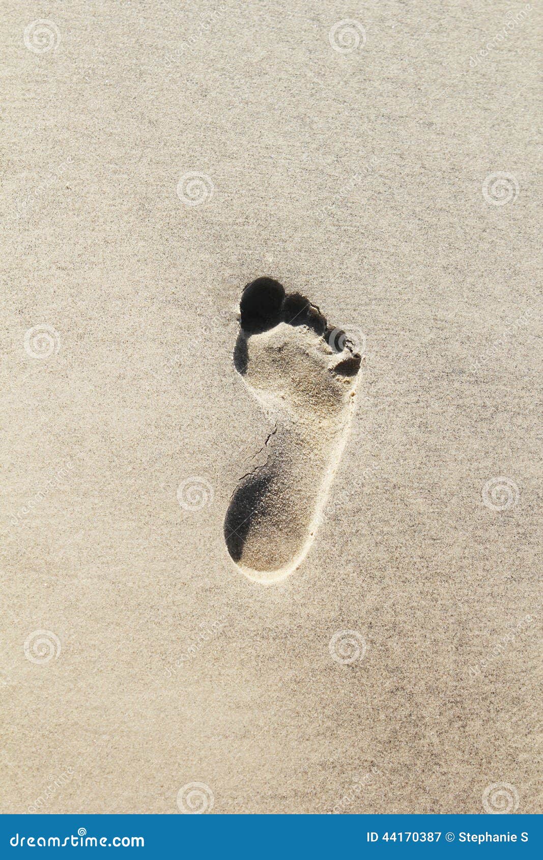 Single Footprint on the Beach Sand Stock Image - Image of footprint ...