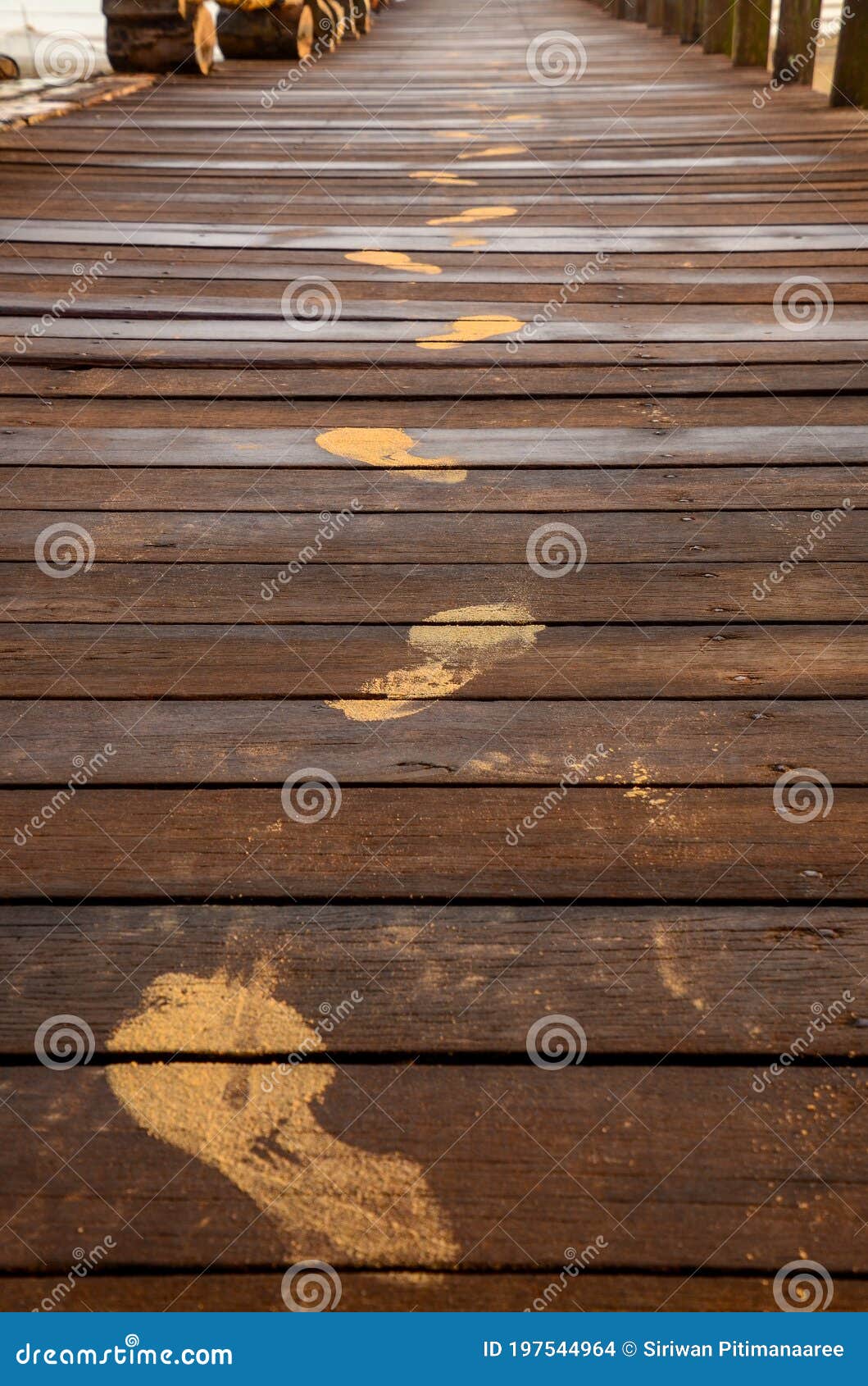 Wooden Walkways Texture Stock Photography | CartoonDealer.com #98102732
