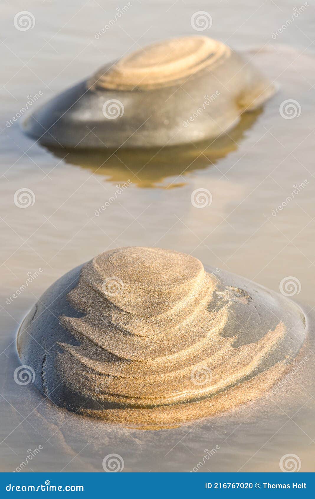 Sand Forms Abstract Shape on the Rocks As the Tide Goes Out Stock Photo ...