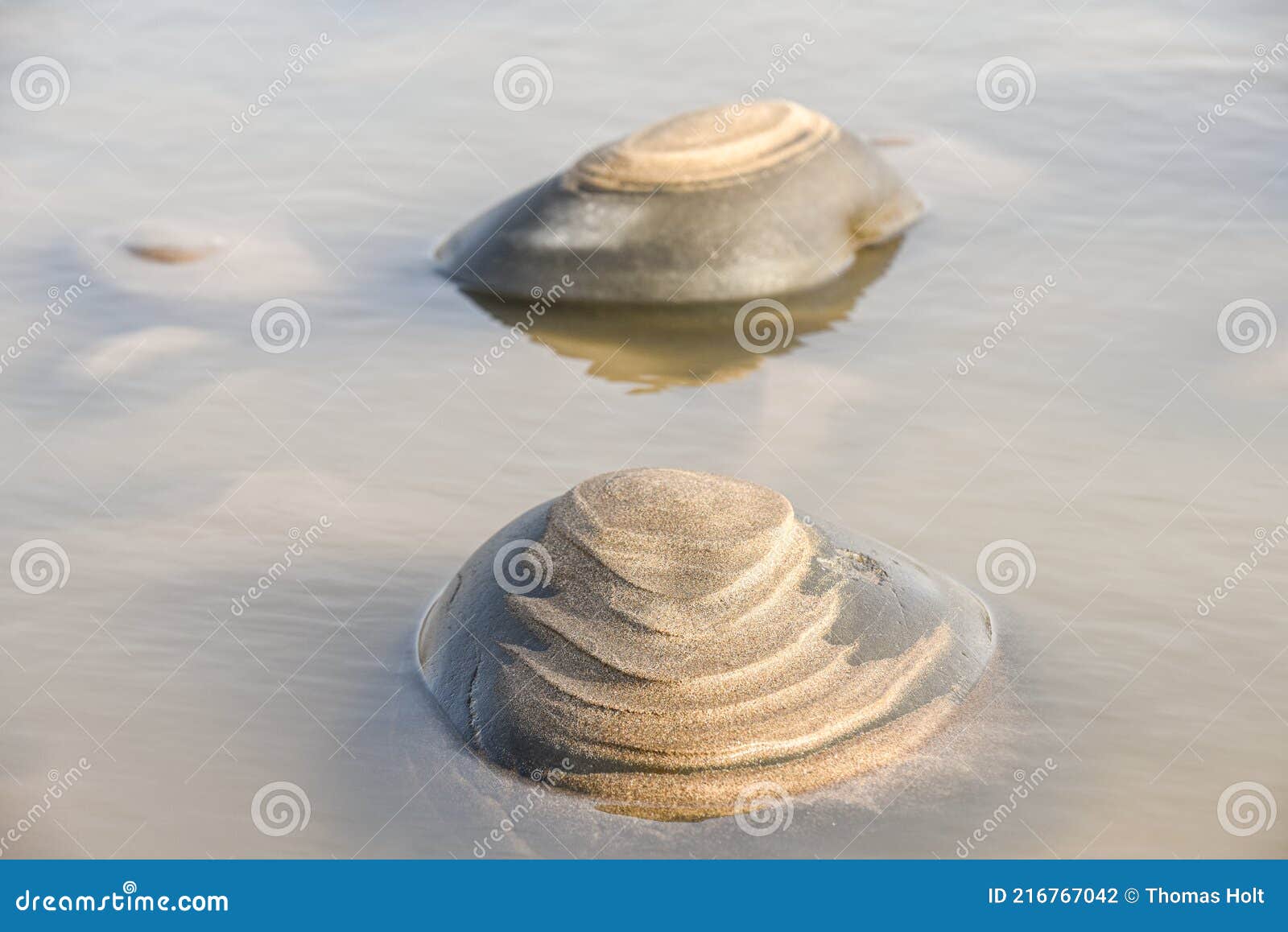Sand Forms Abstract Shape on the Rocks As the Tide Goes Out Stock Photo ...