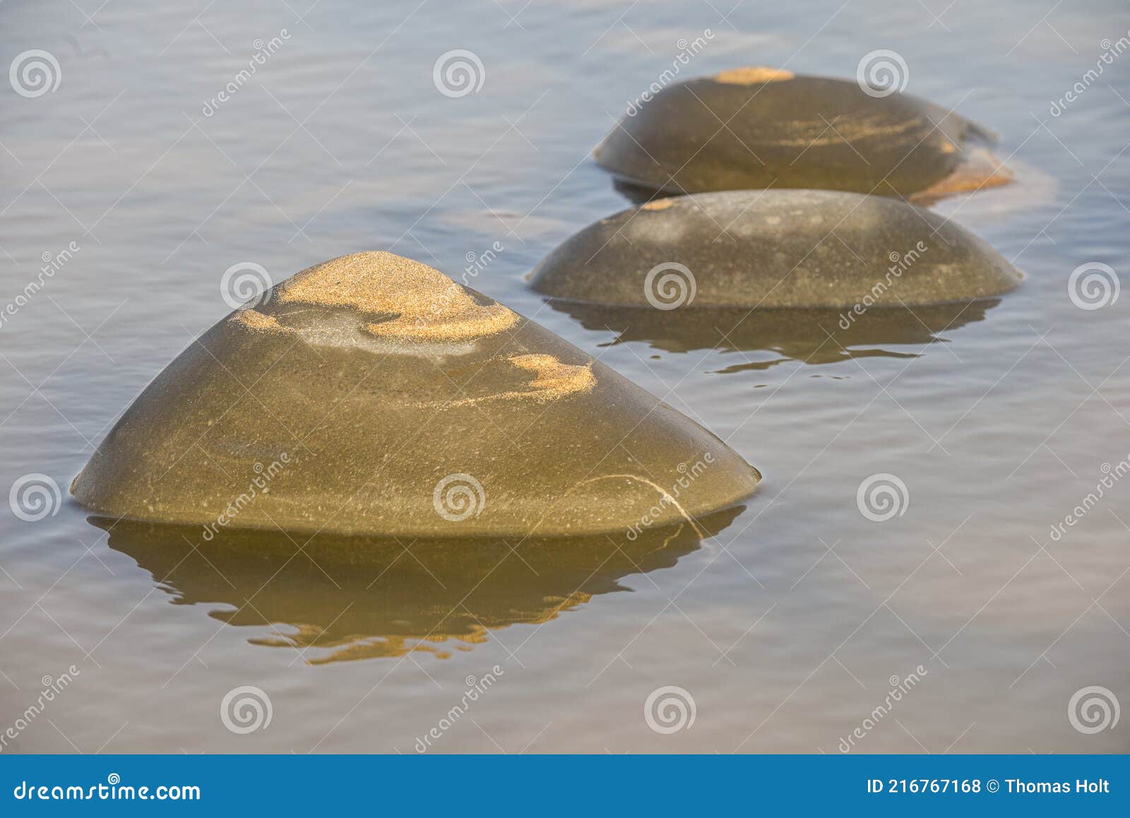 Sand Forms Abstract Shape on the Rocks As the Tide Goes Out Stock Photo ...