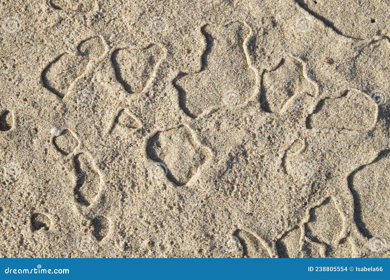 Sand Forms Created by Splashes of Sea Water Close Stock Photo - Image ...