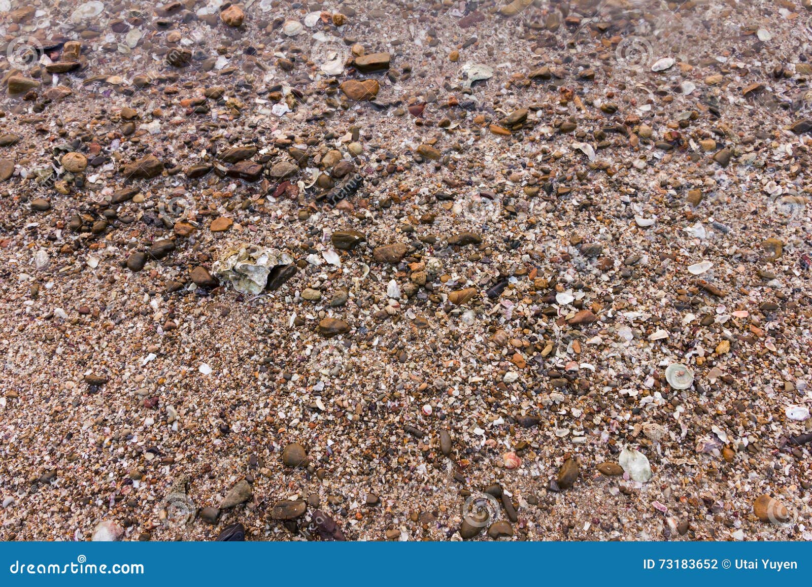 Sand and Fragments of Rock Texture Stock Photo - Image of abstract ...