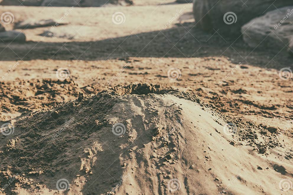 Sand funnel on the beach stock photo. Image of environment - 157973532