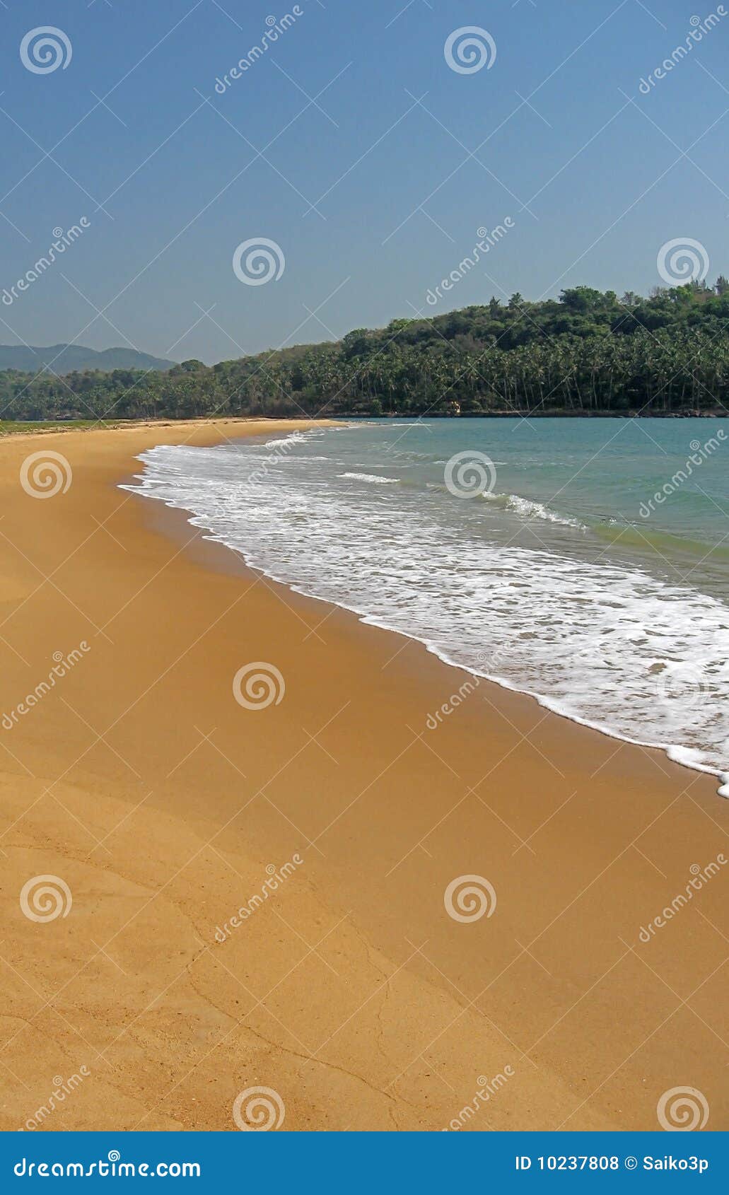 Sand on Goa beach stock photo. Image of india, cows, ocean - 10237808